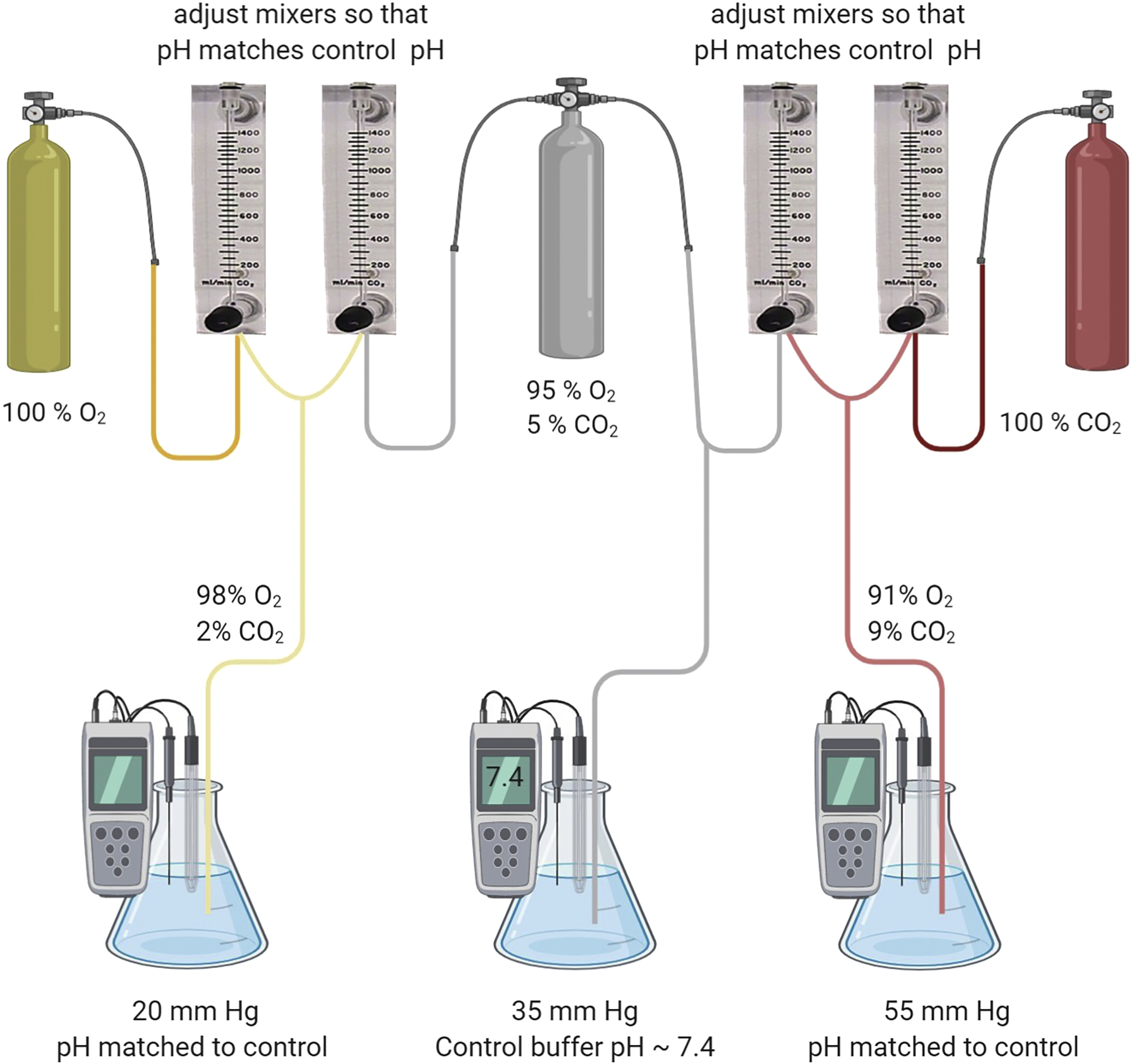 Cell Press: STAR Protocols