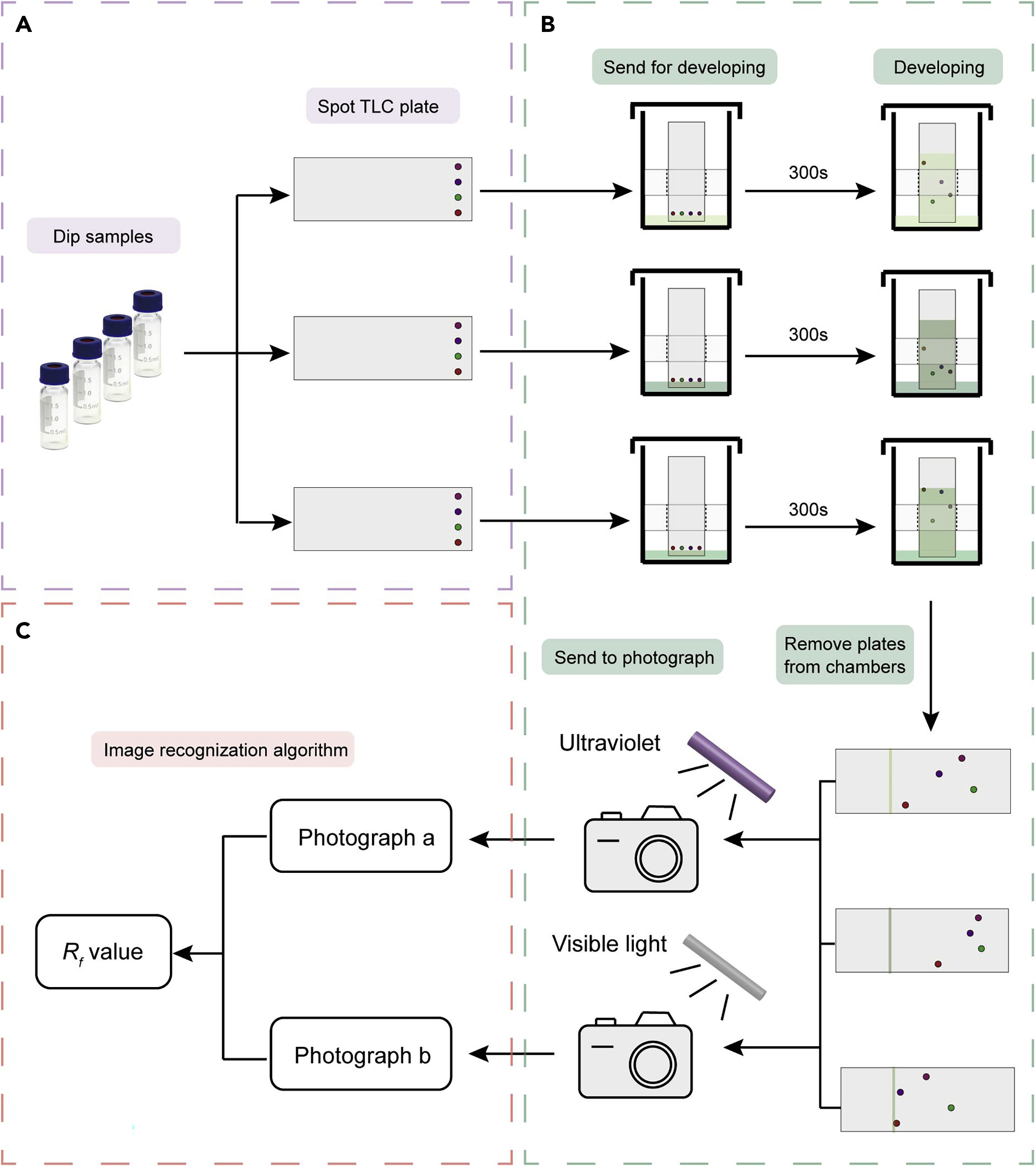 Cell Press: STAR Protocols