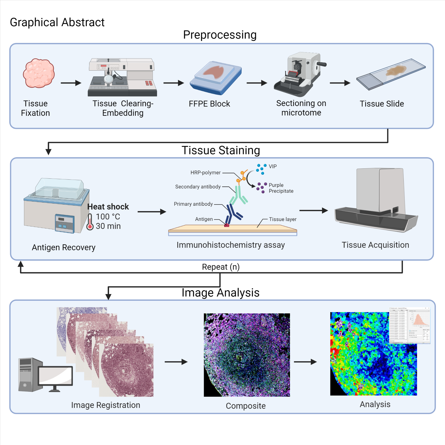 Cell Press: STAR Protocols