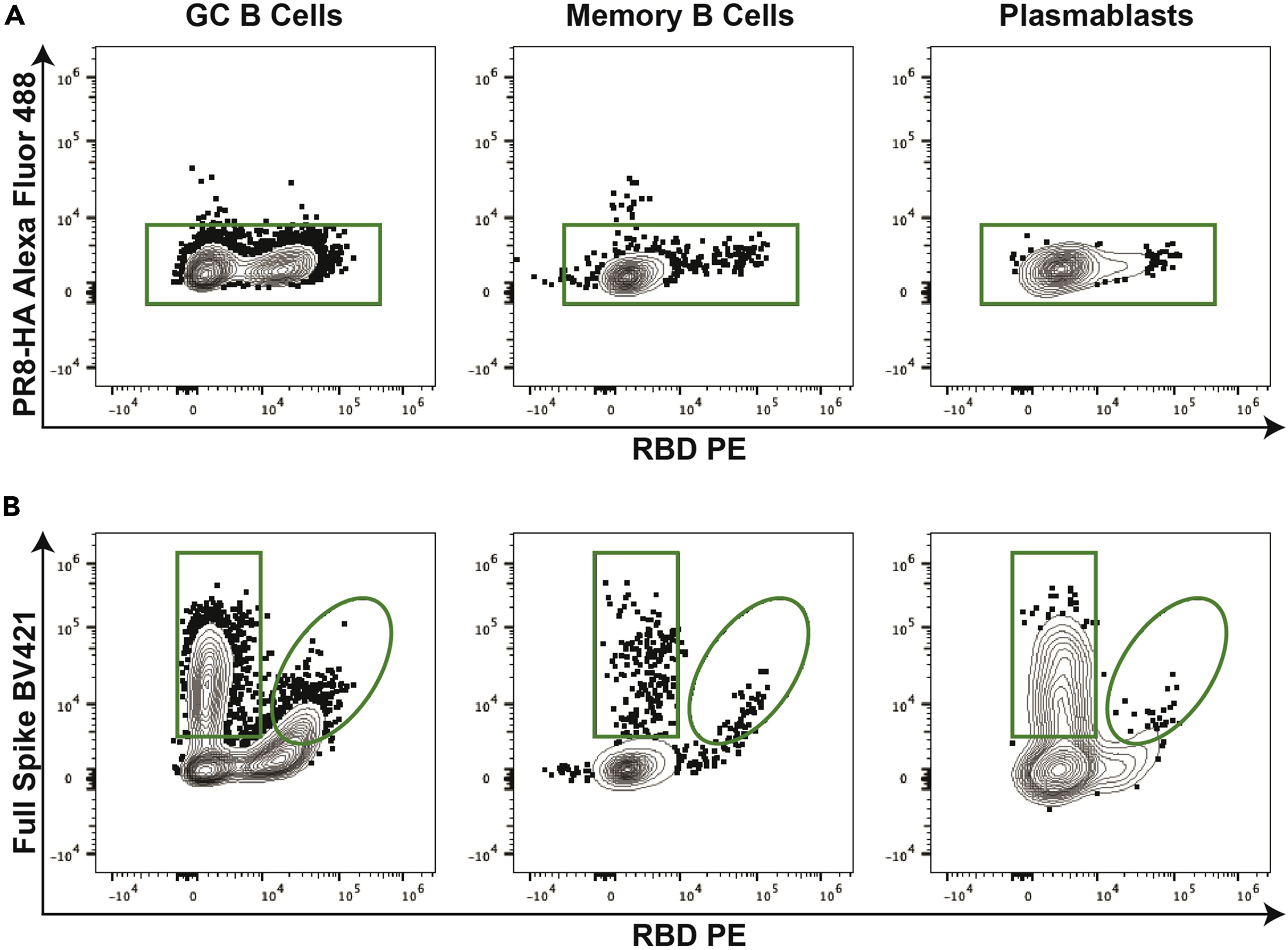 Cell Press: STAR Protocols