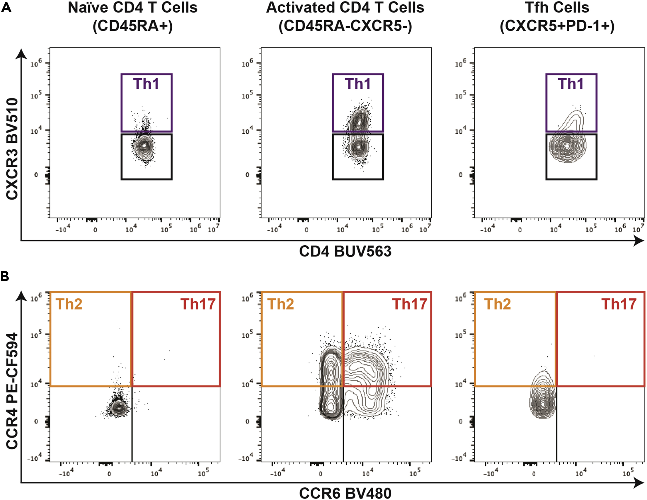 Cell Press: STAR Protocols
