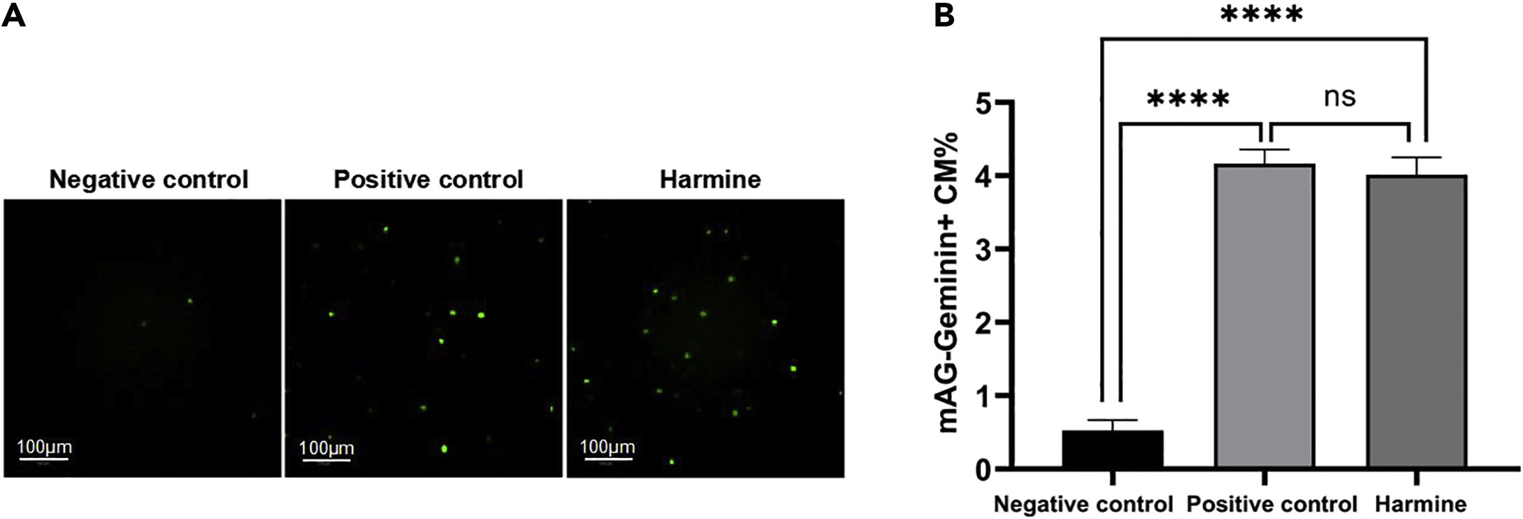 Cell Press: STAR Protocols