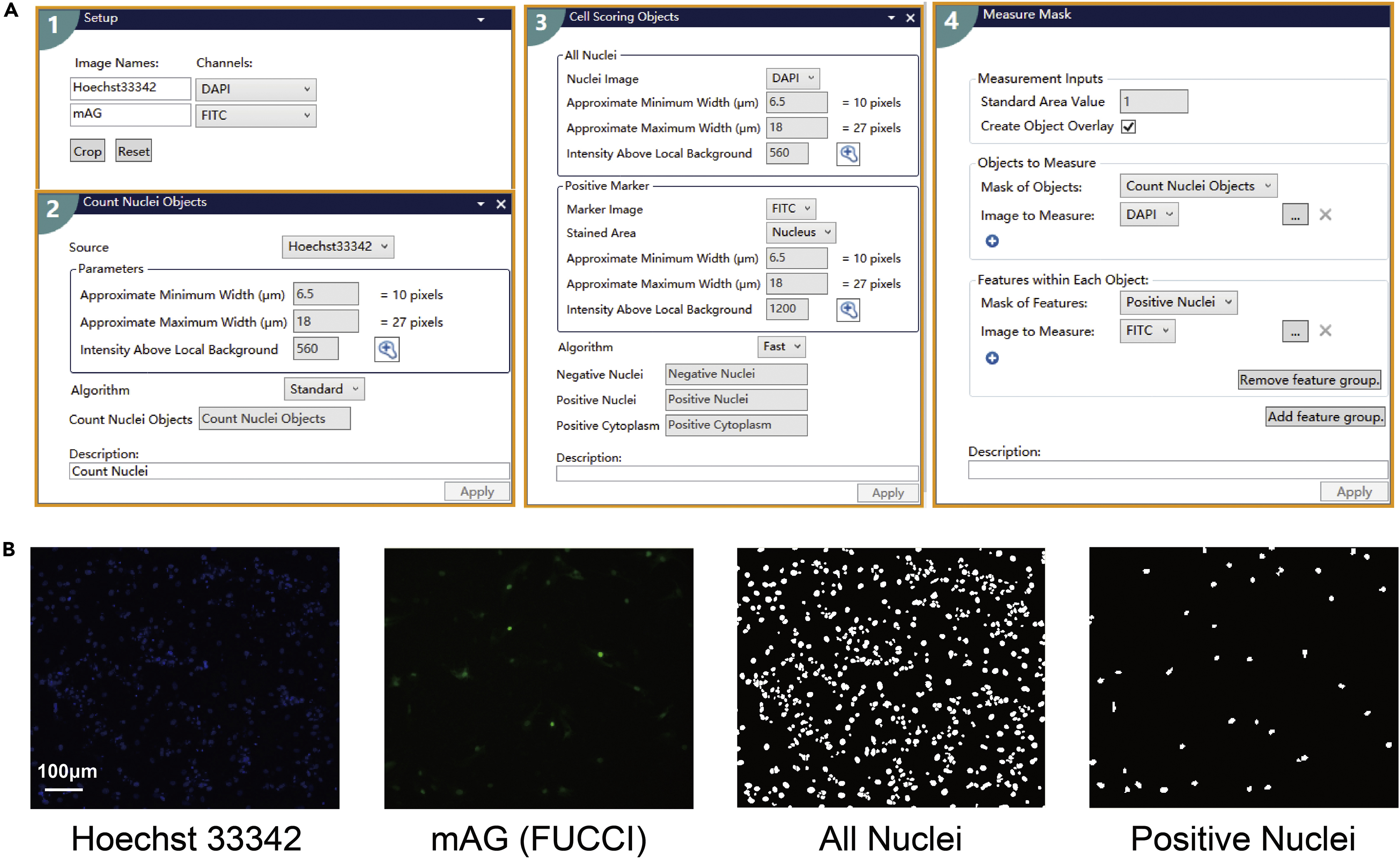 Cell Press: STAR Protocols