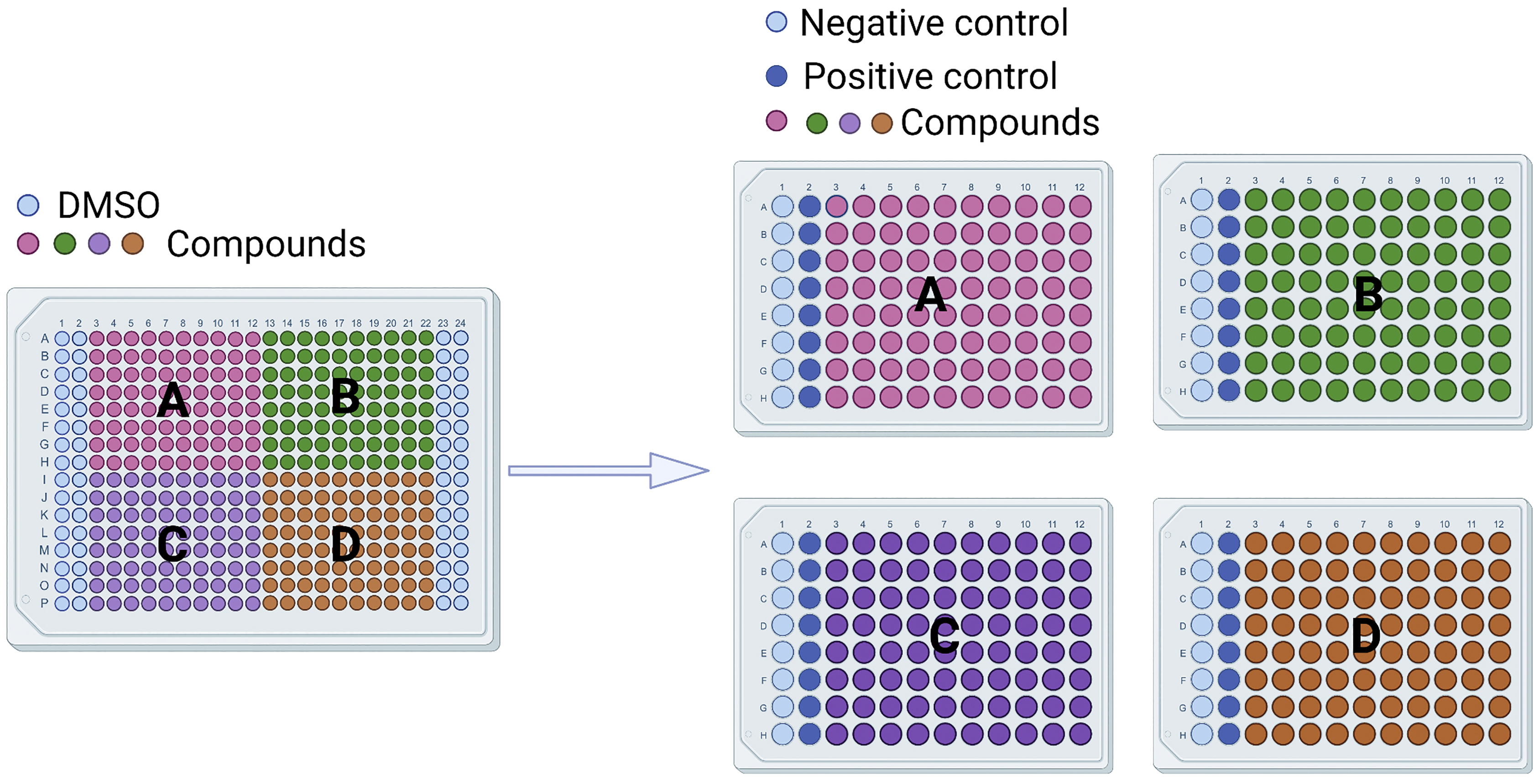 Cell Press: STAR Protocols