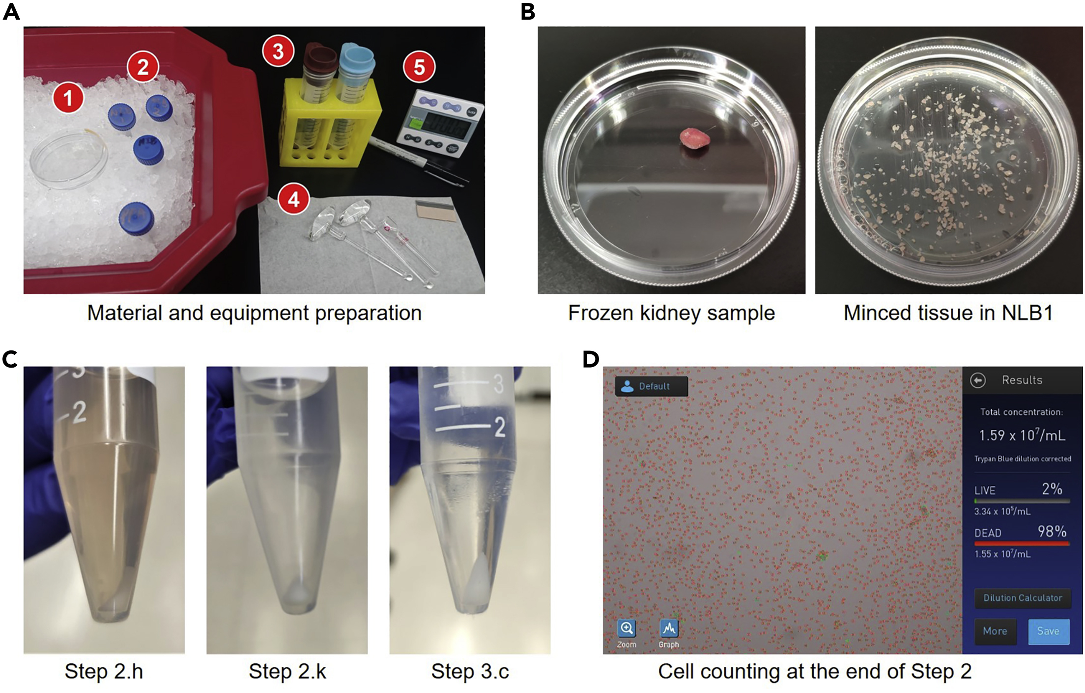 Cell Press: STAR Protocols