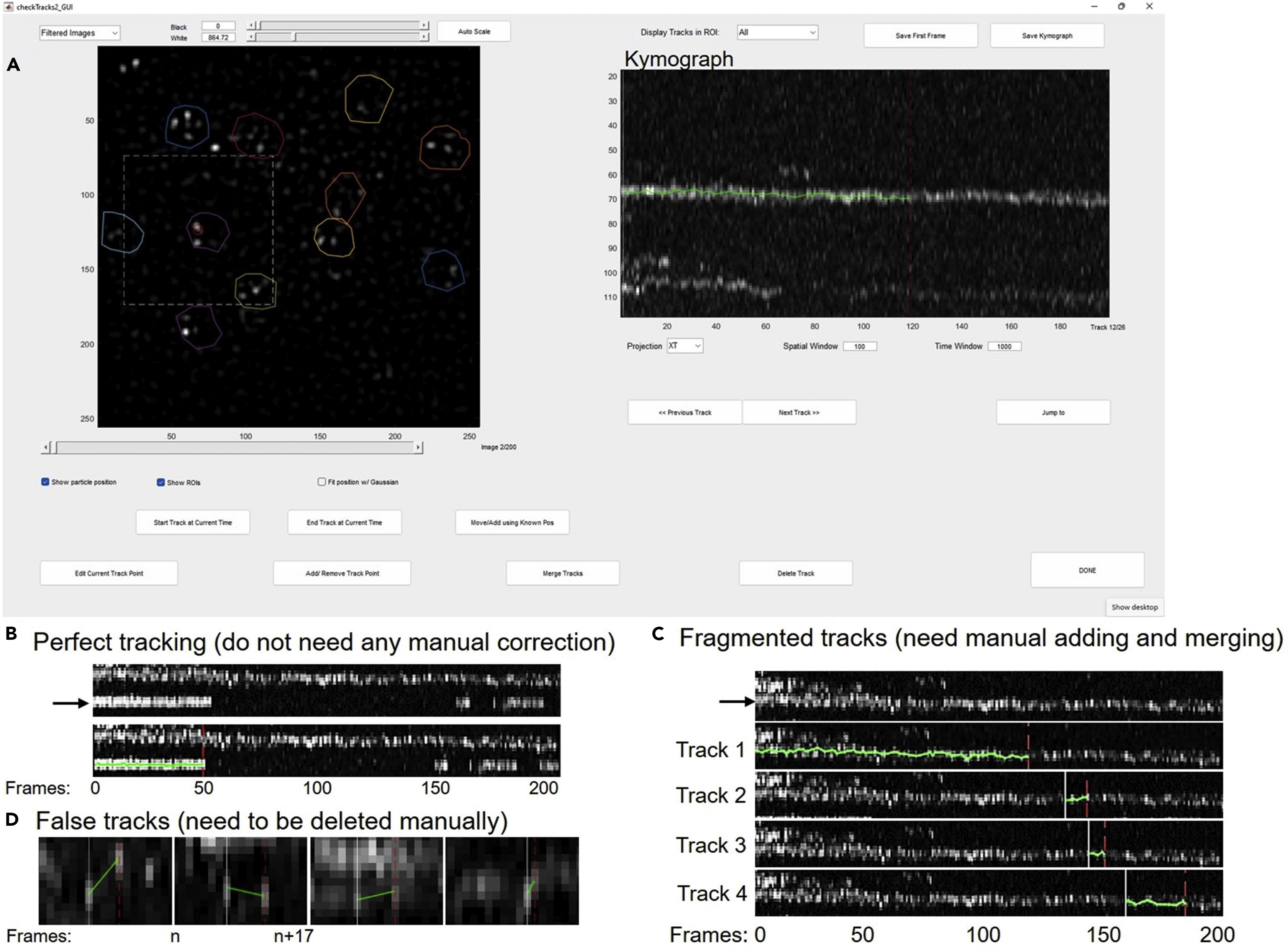 Cell Press: STAR Protocols