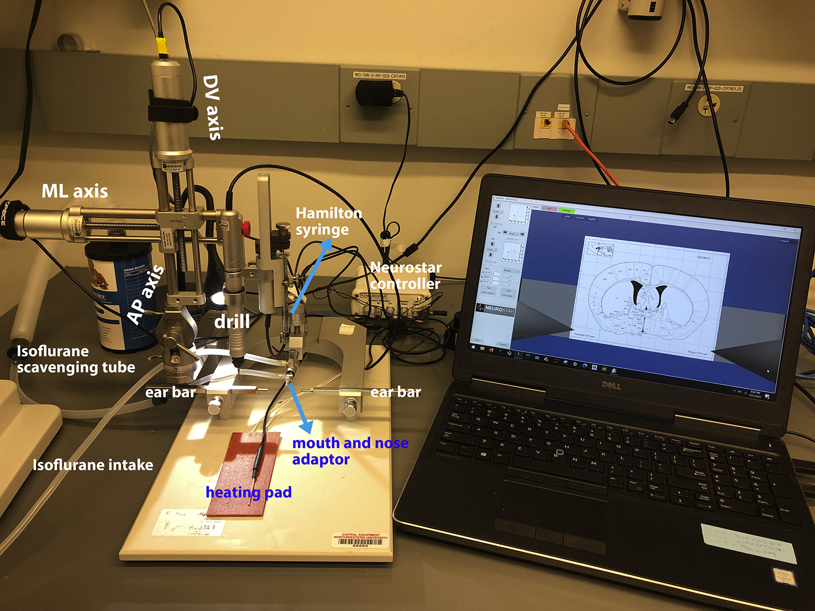 Cell Press: STAR Protocols