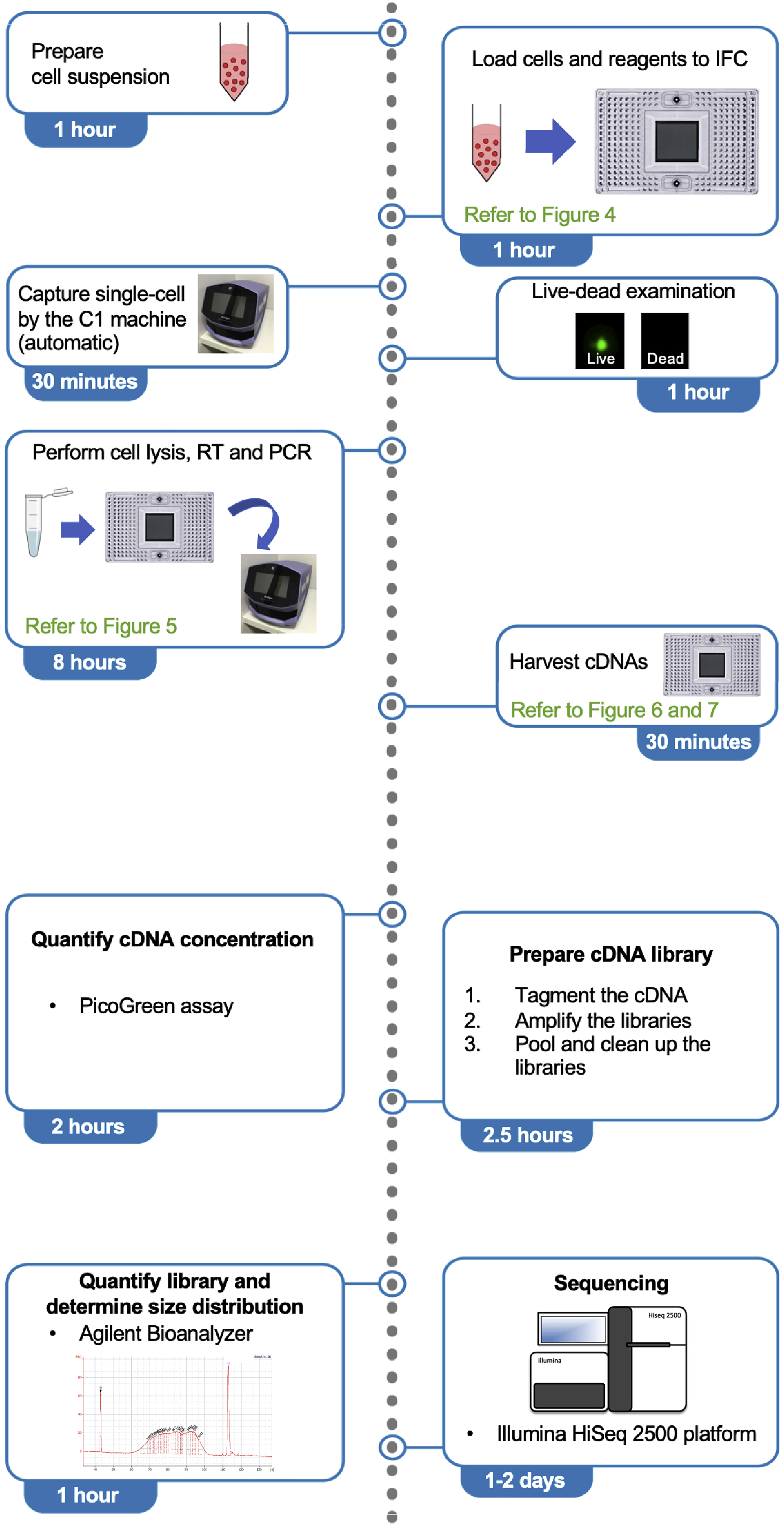 Cell Press: STAR Protocols