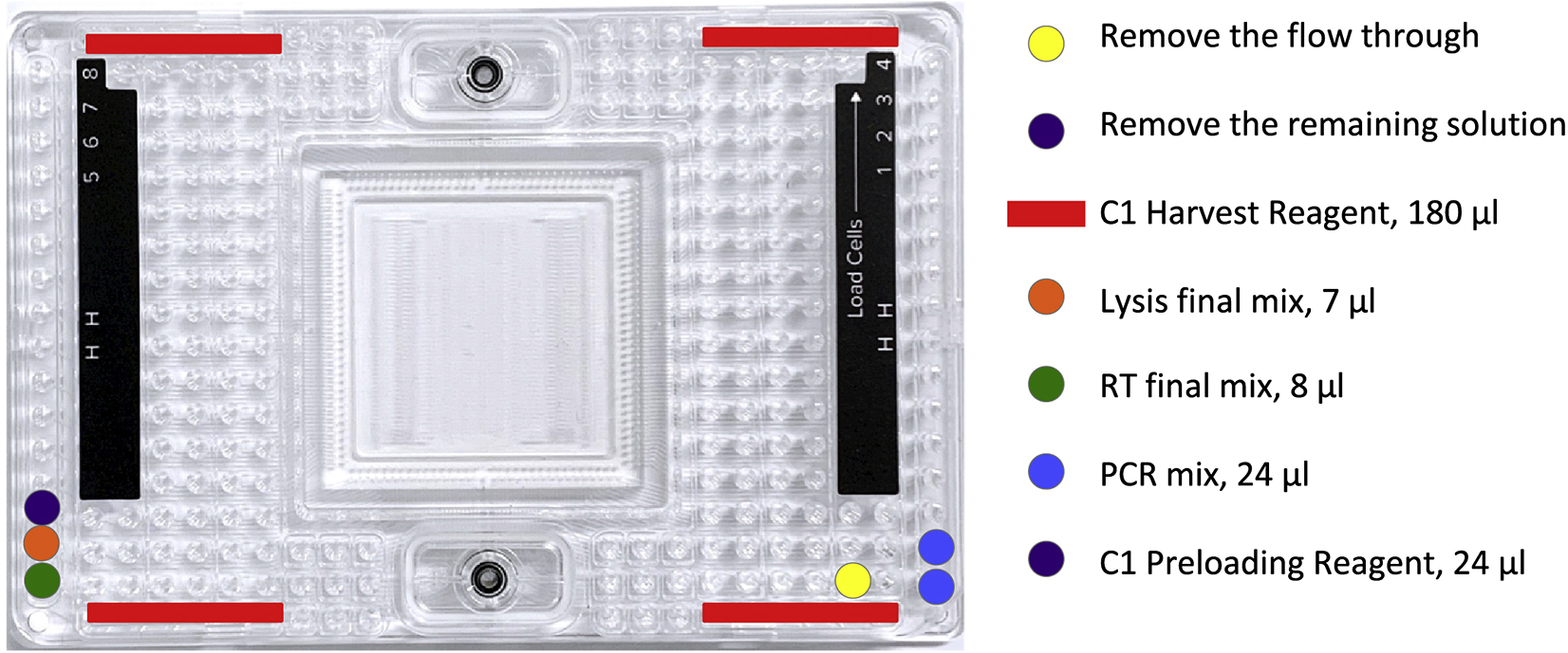 Cell Press: STAR Protocols