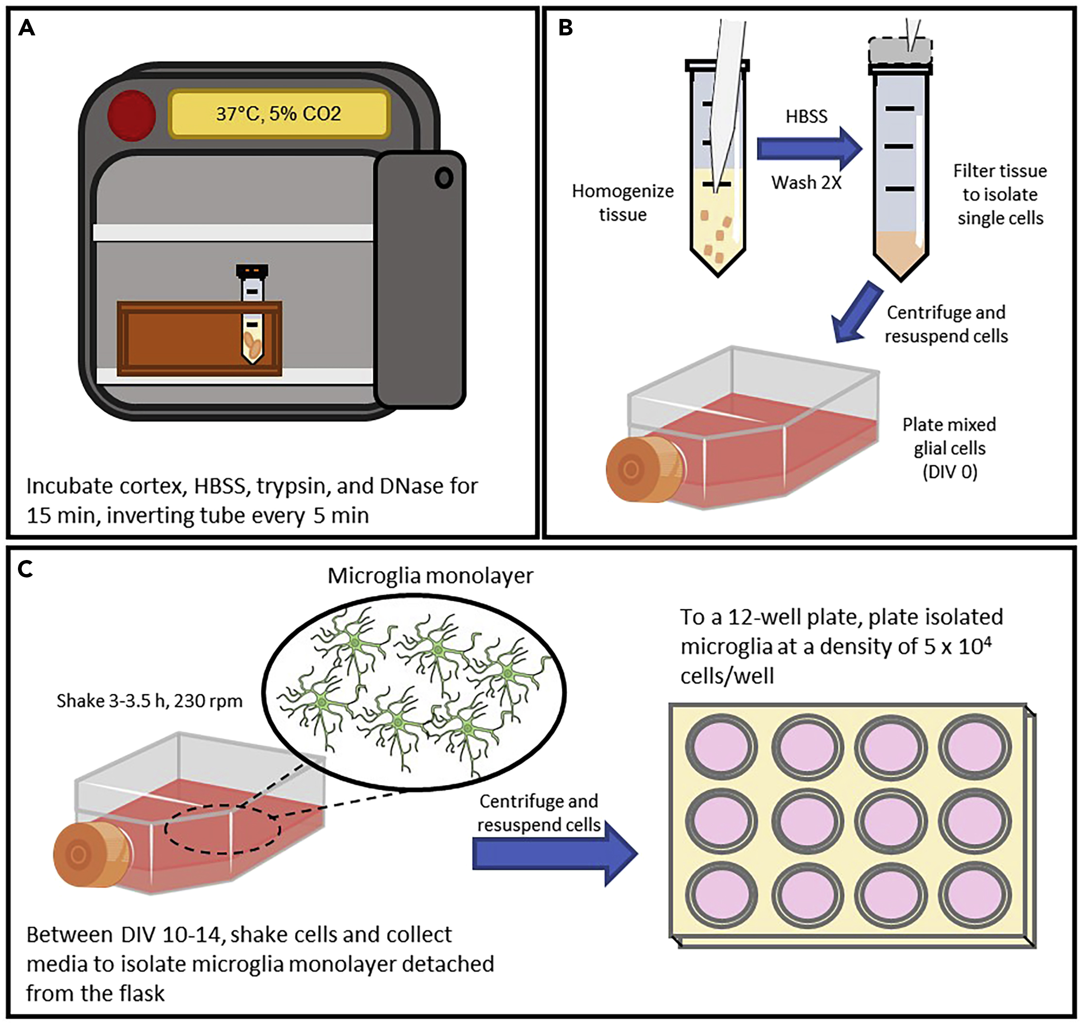 Cell Press: STAR Protocols