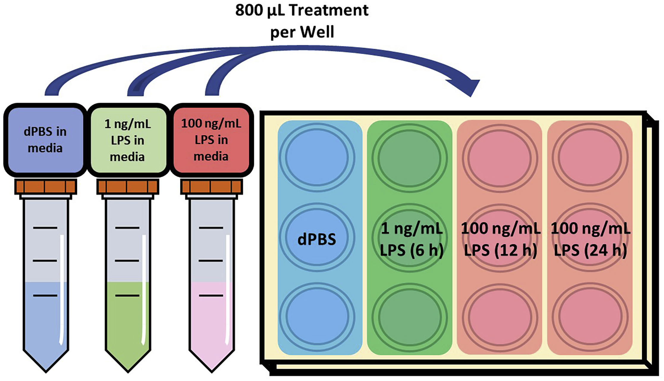 Cell Press: STAR Protocols