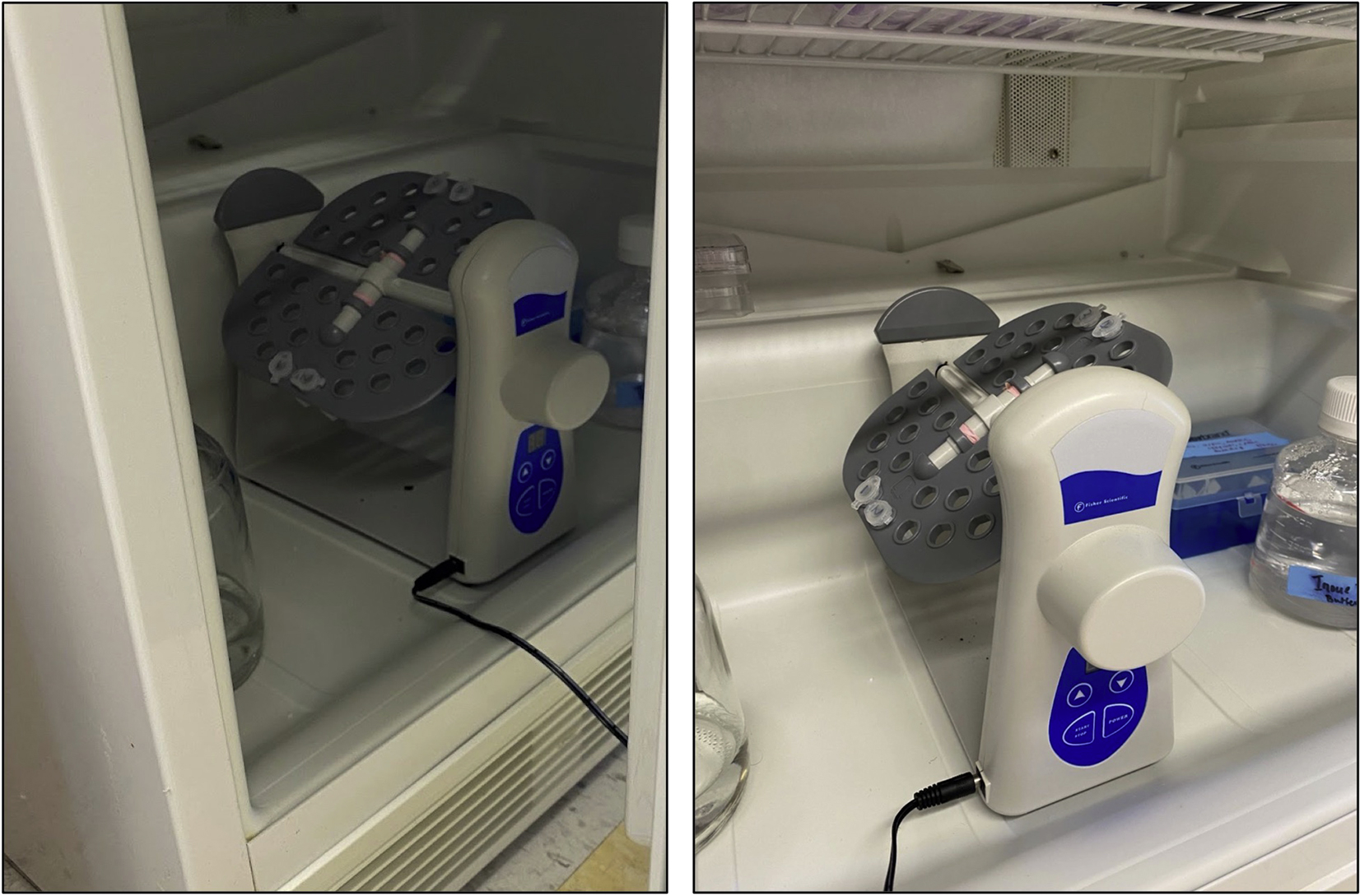 Cell Press: STAR Protocols