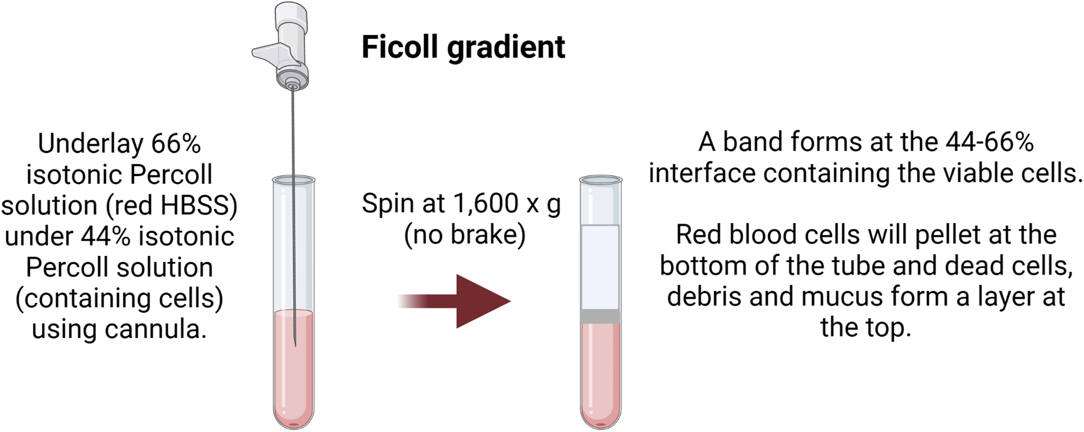 Cell Press: STAR Protocols