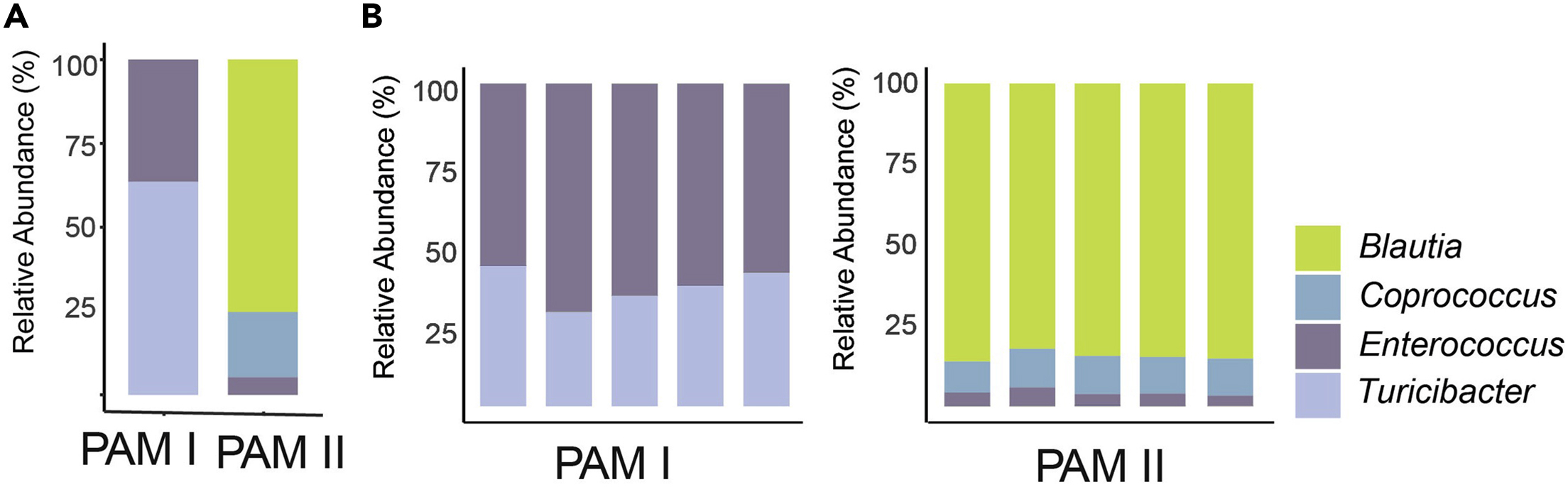 Cell Press: STAR Protocols