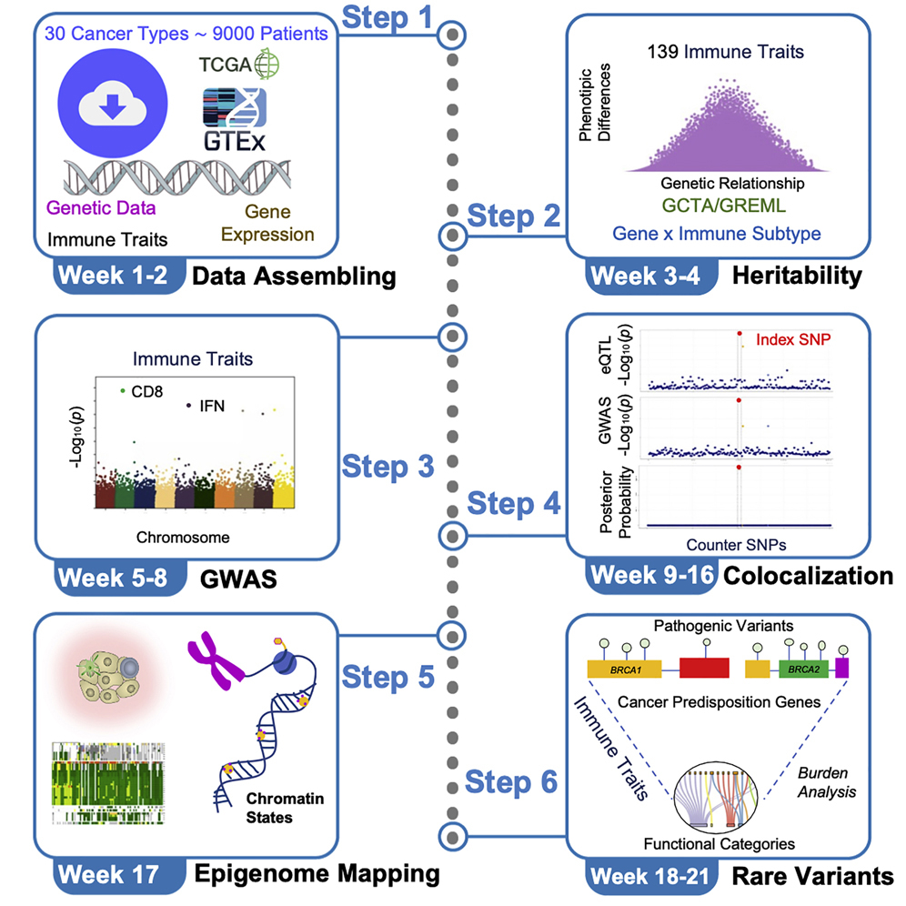Cell Press: STAR Protocols
