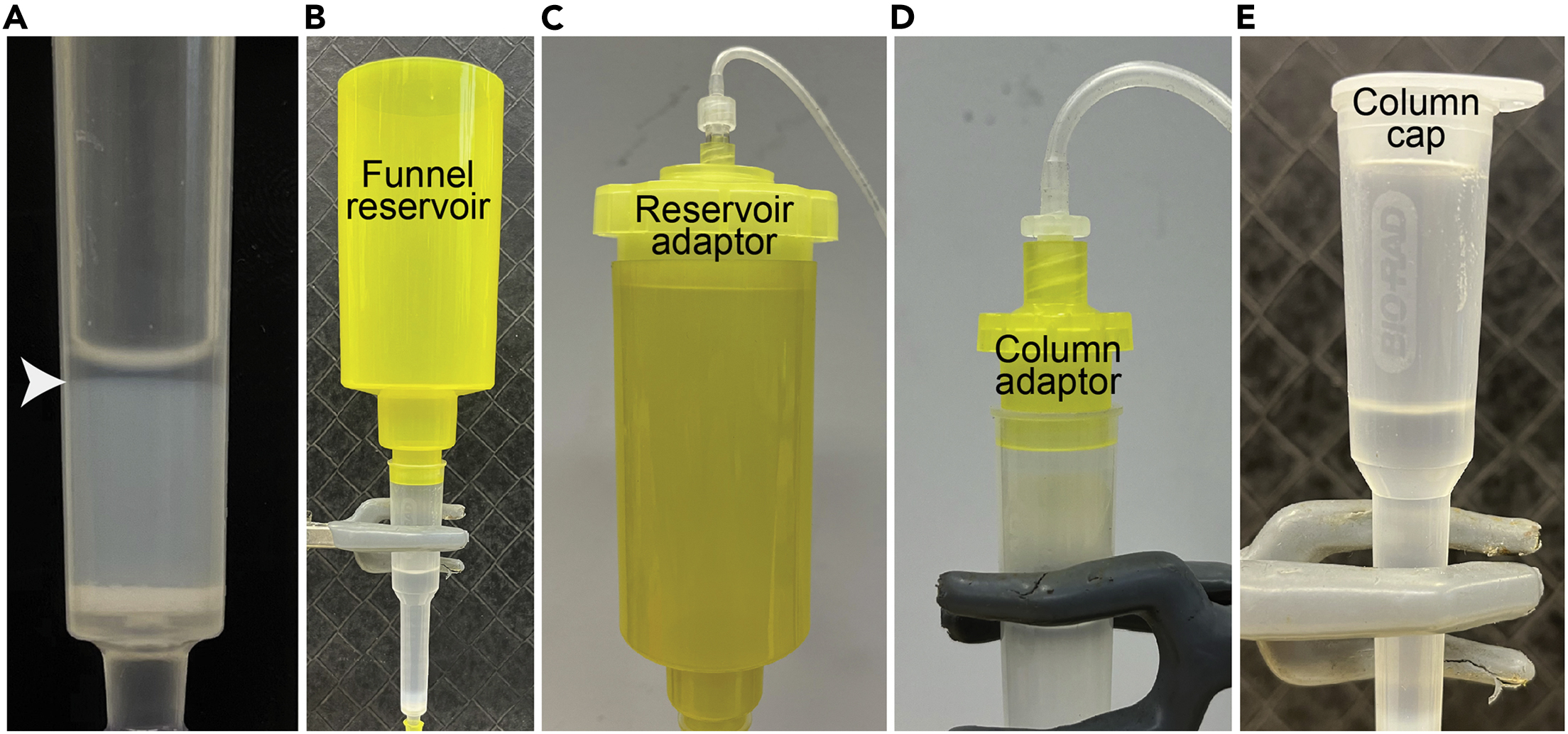 Cell Press: STAR Protocols