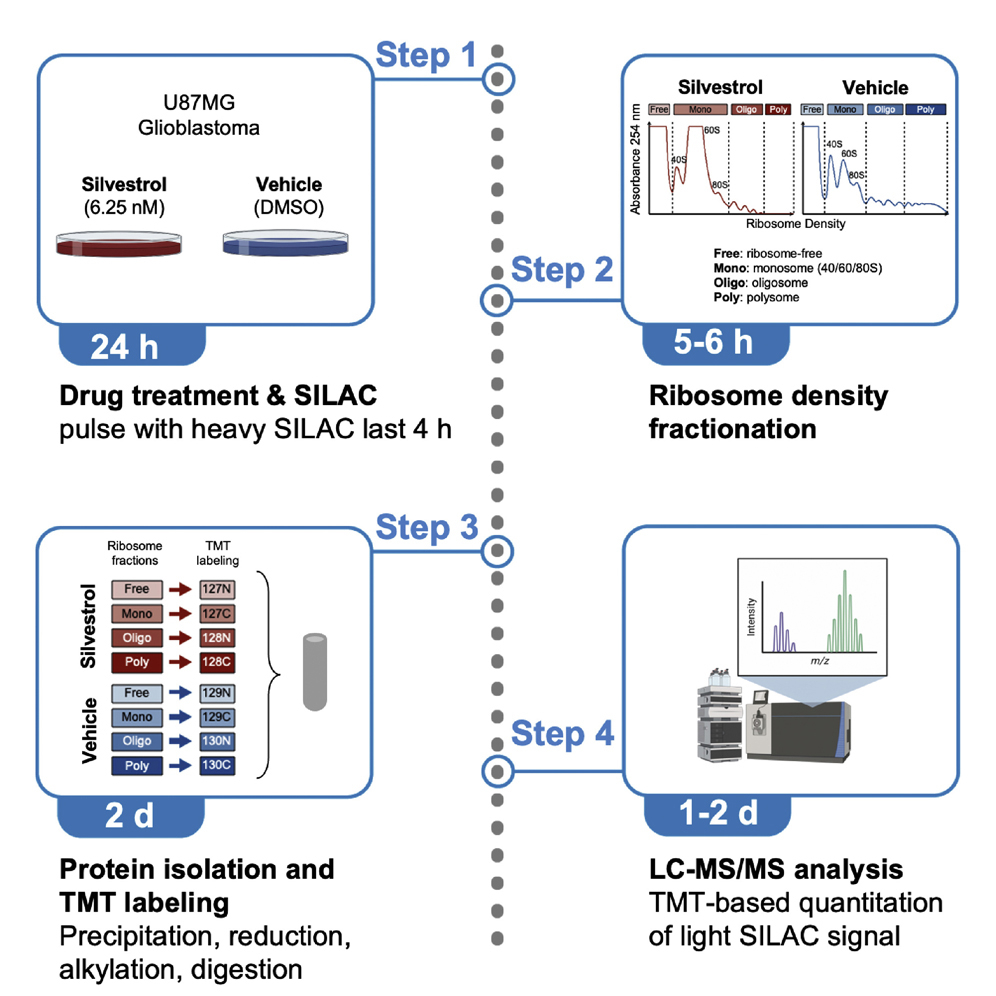 Cell Press: STAR Protocols