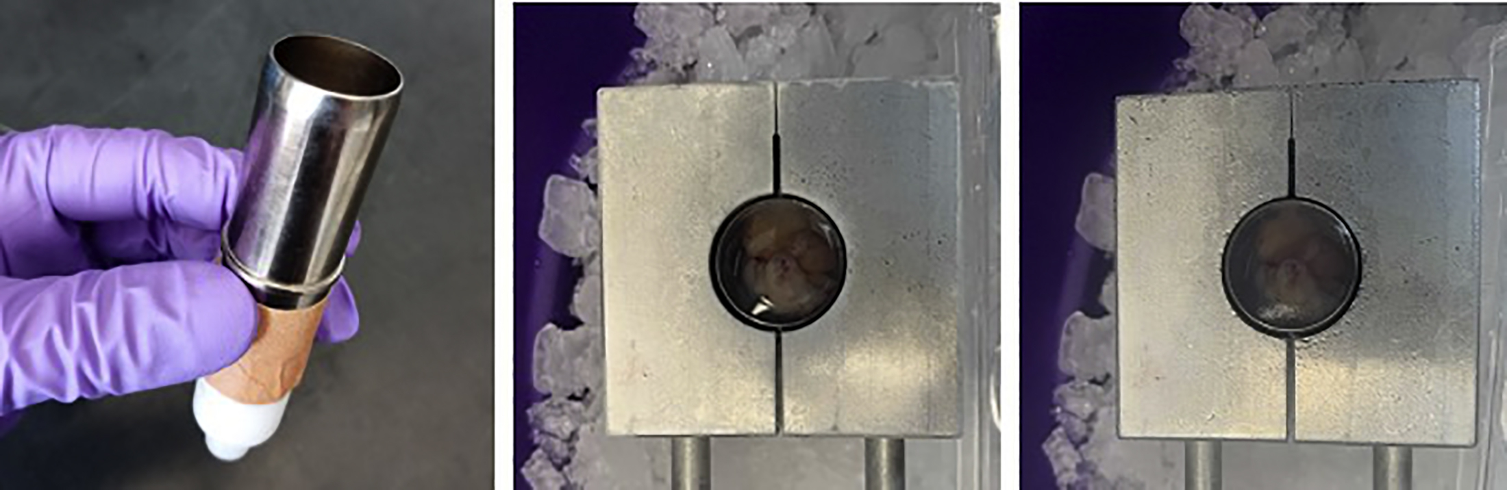 Cell Press: STAR Protocols