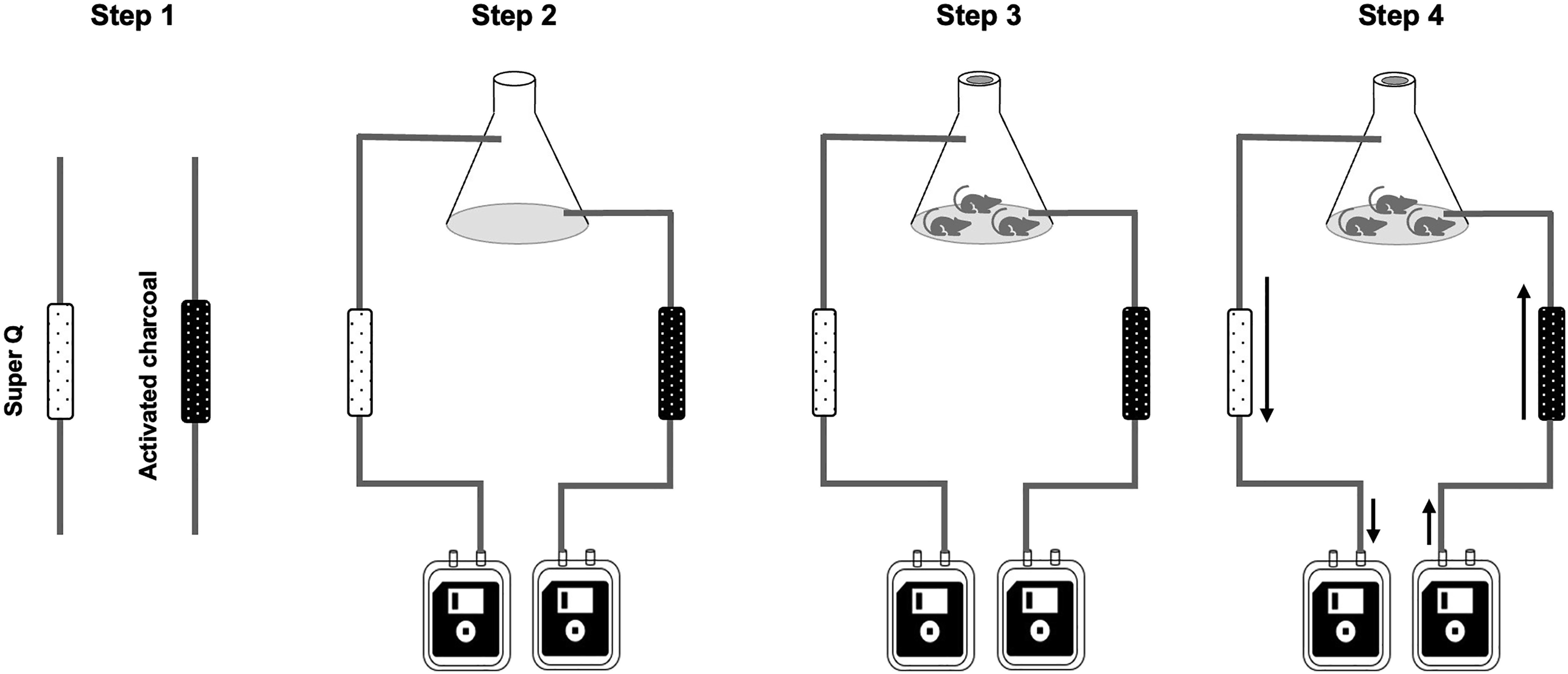 Cell Press: STAR Protocols