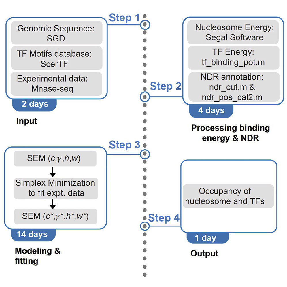 Cell Press: STAR Protocols