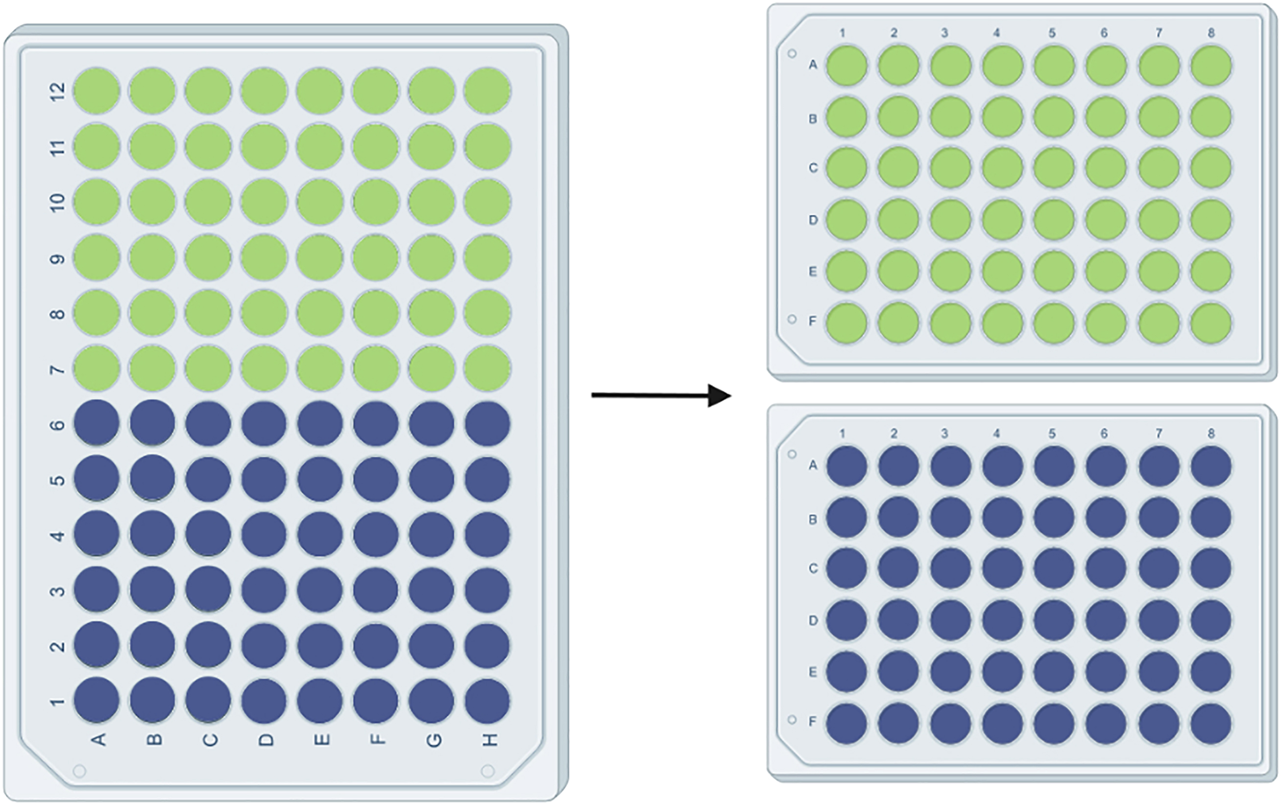 Cell Press: STAR Protocols