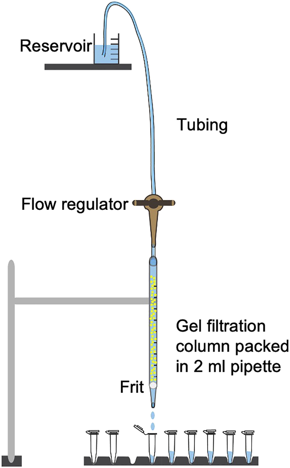 Cell Press: STAR Protocols