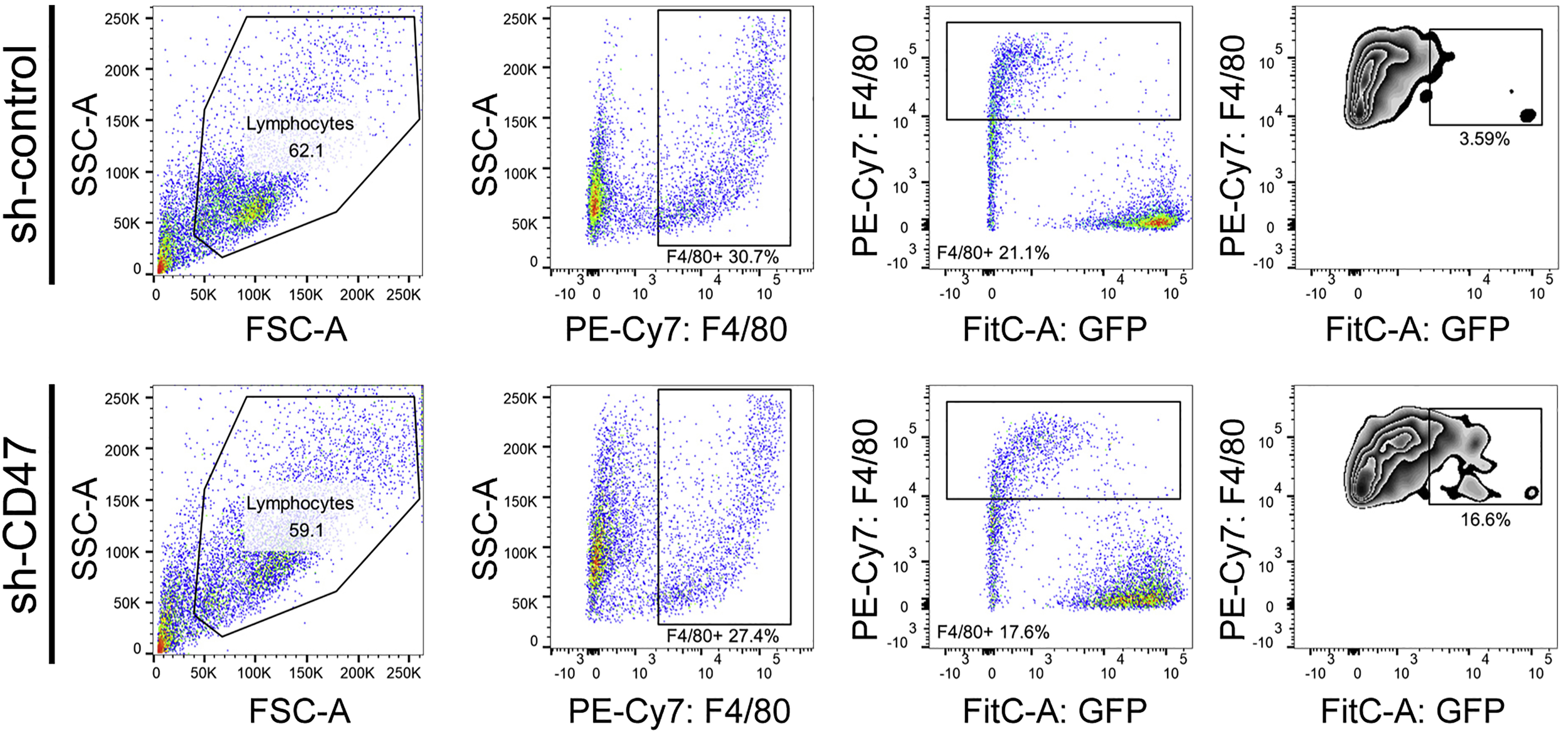 Cell Press: STAR Protocols