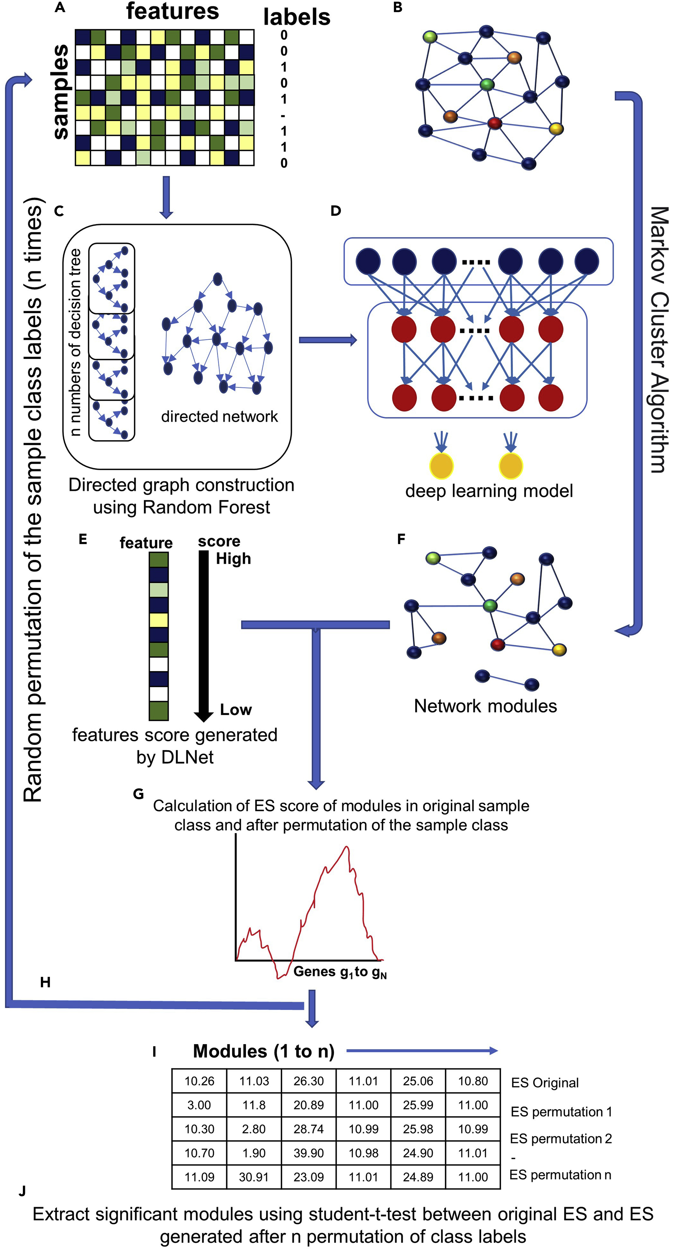 Cell Press: STAR Protocols