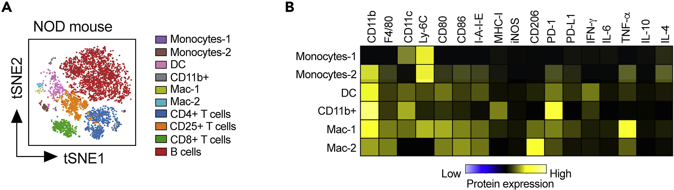 Cell Press: STAR Protocols