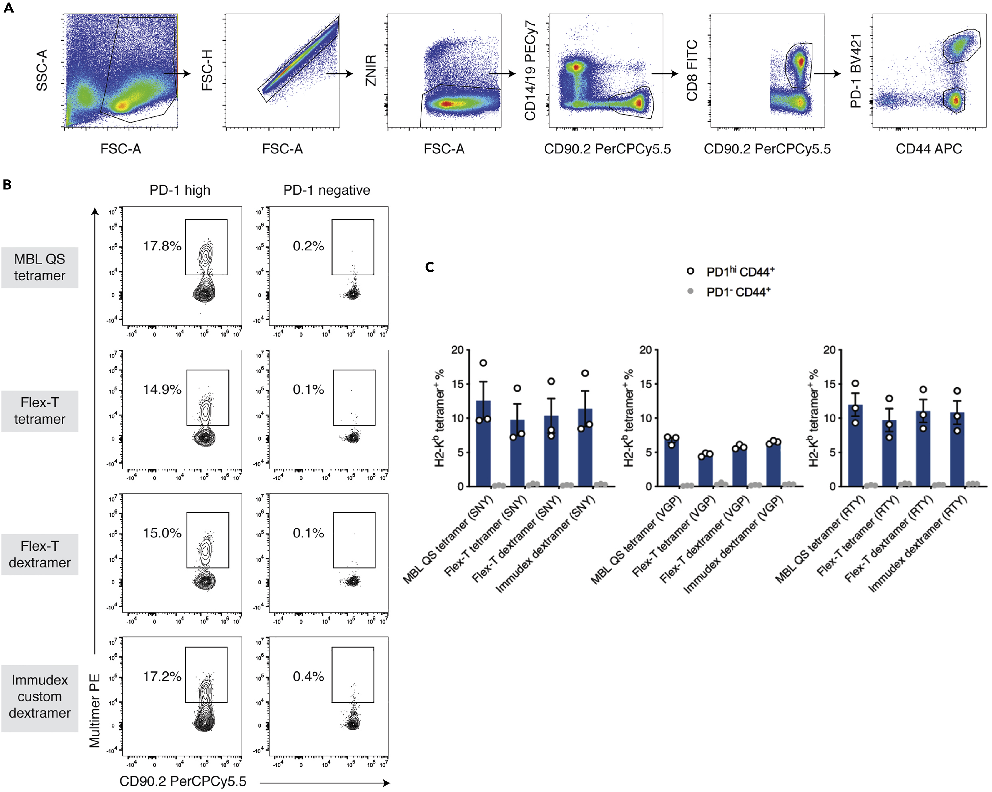 Cell Press: STAR Protocols