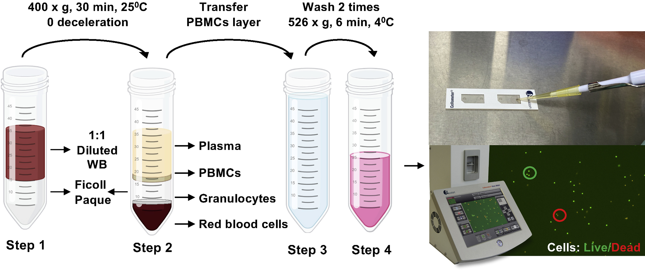 Cell Press: STAR Protocols