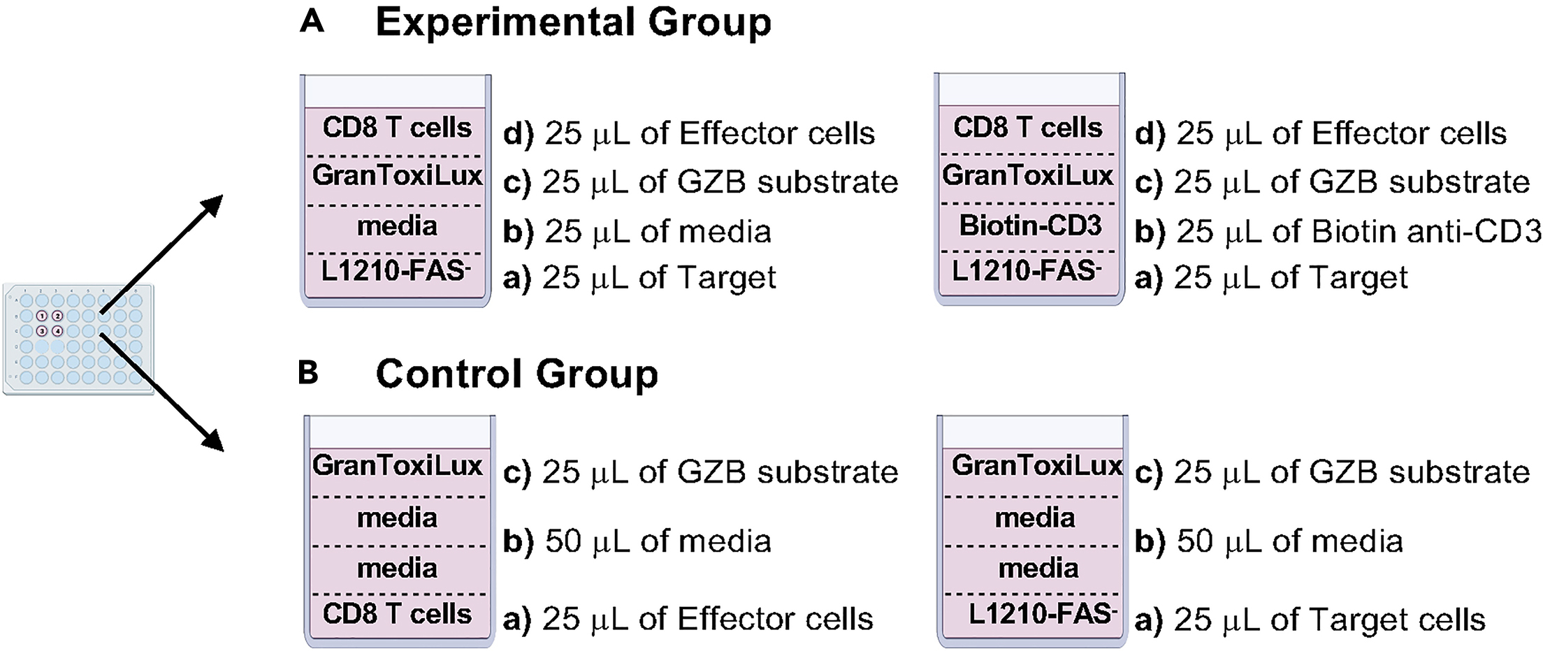 Cell Press: STAR Protocols