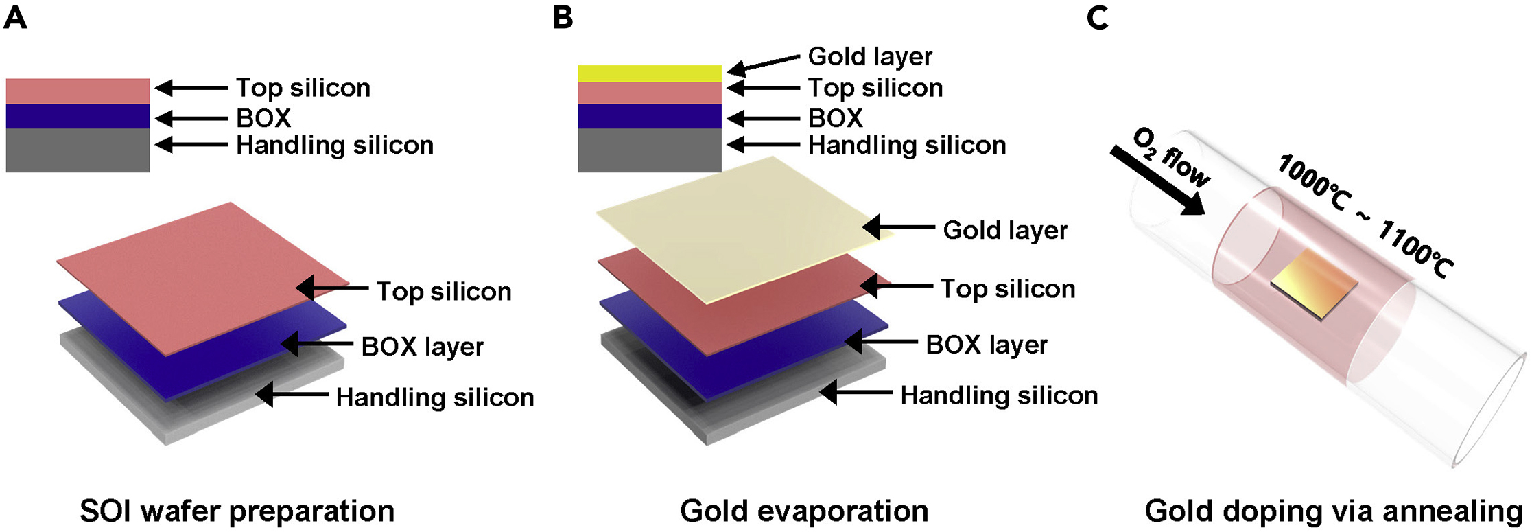 Cell Press: STAR Protocols
