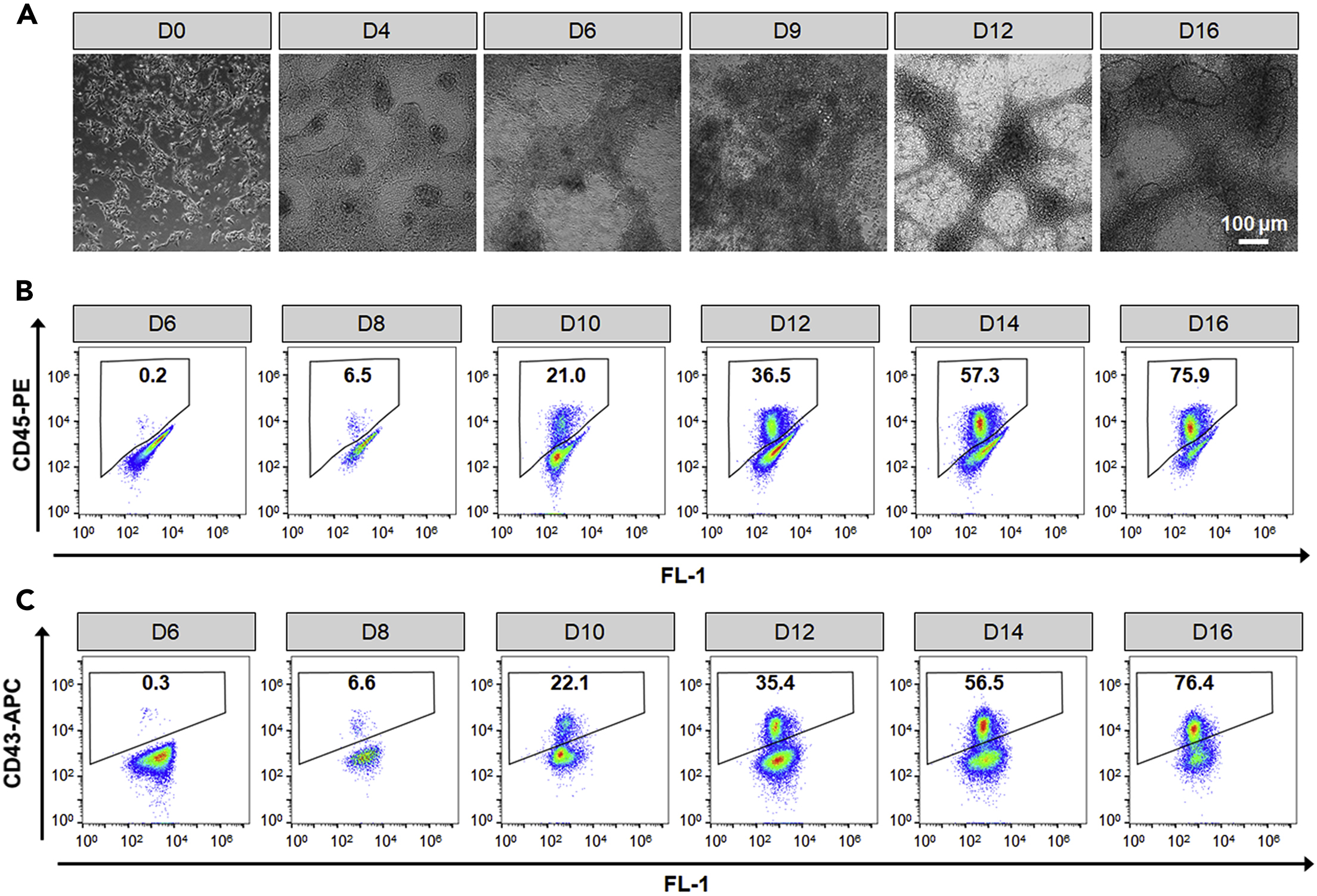 Cell Press: STAR Protocols
