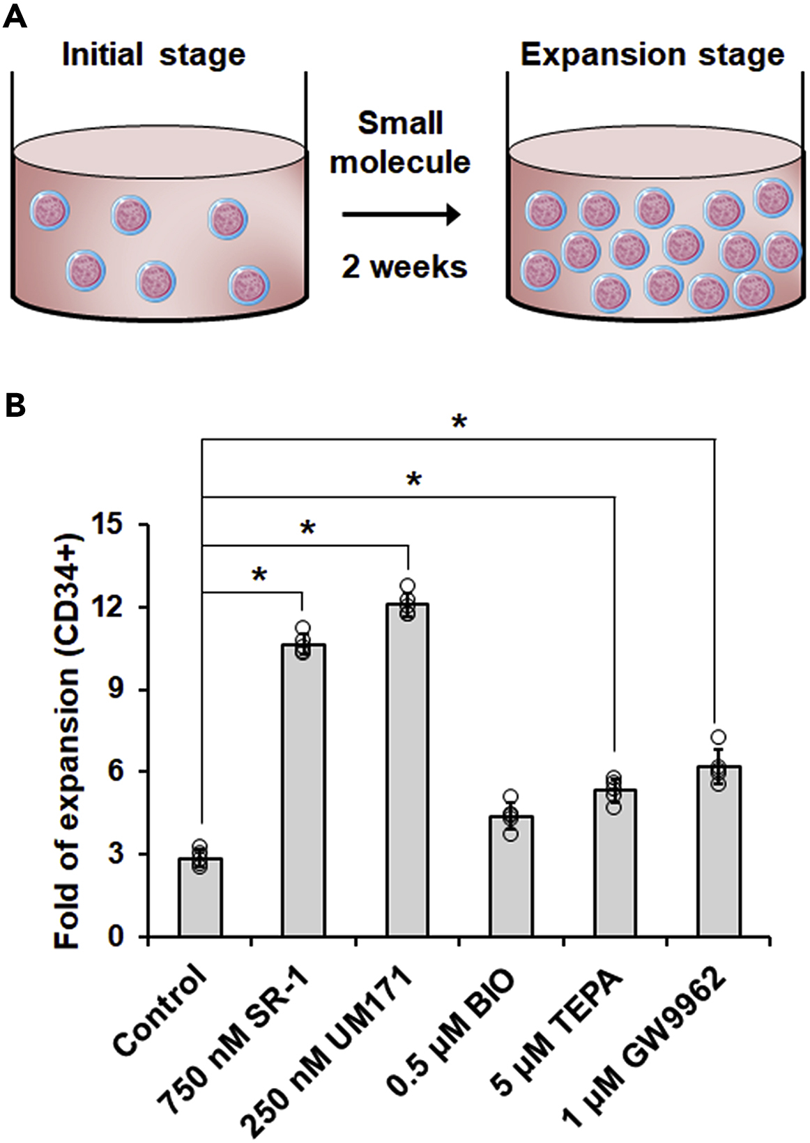 Cell Press: STAR Protocols