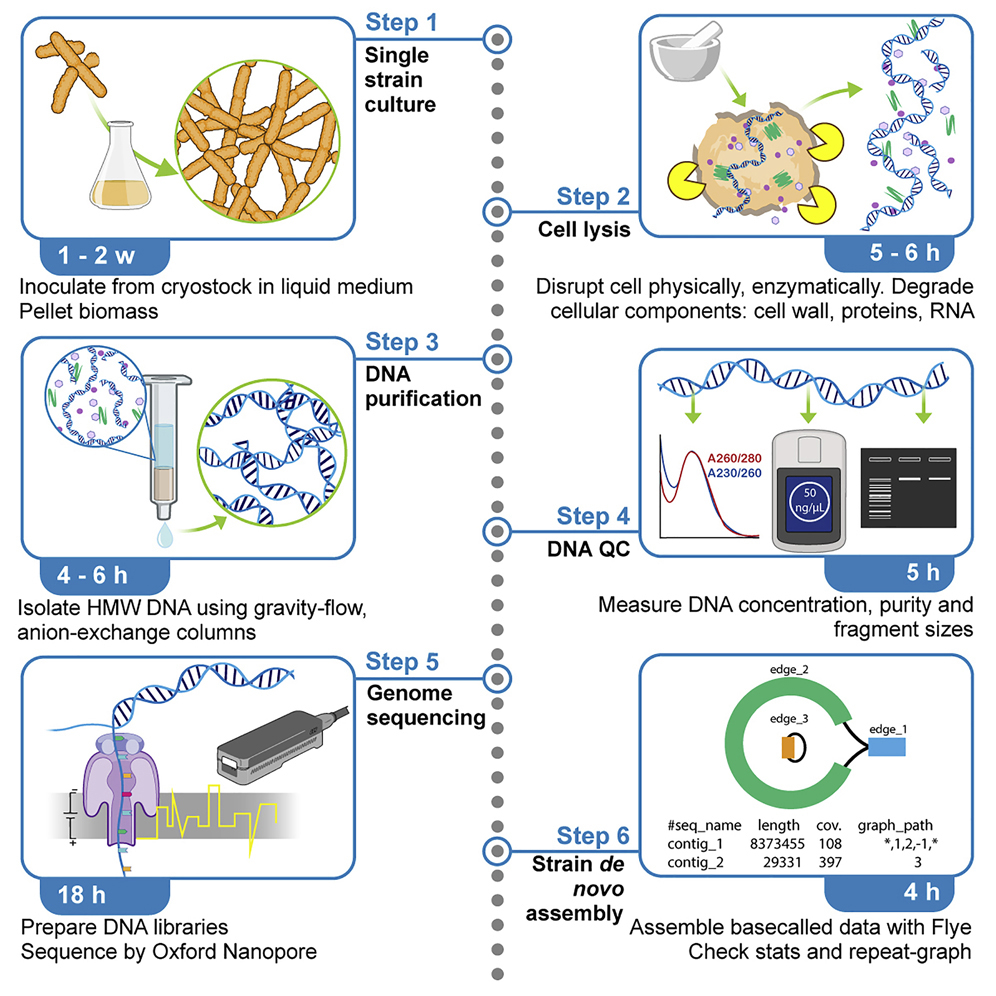 Cell Press: STAR Protocols