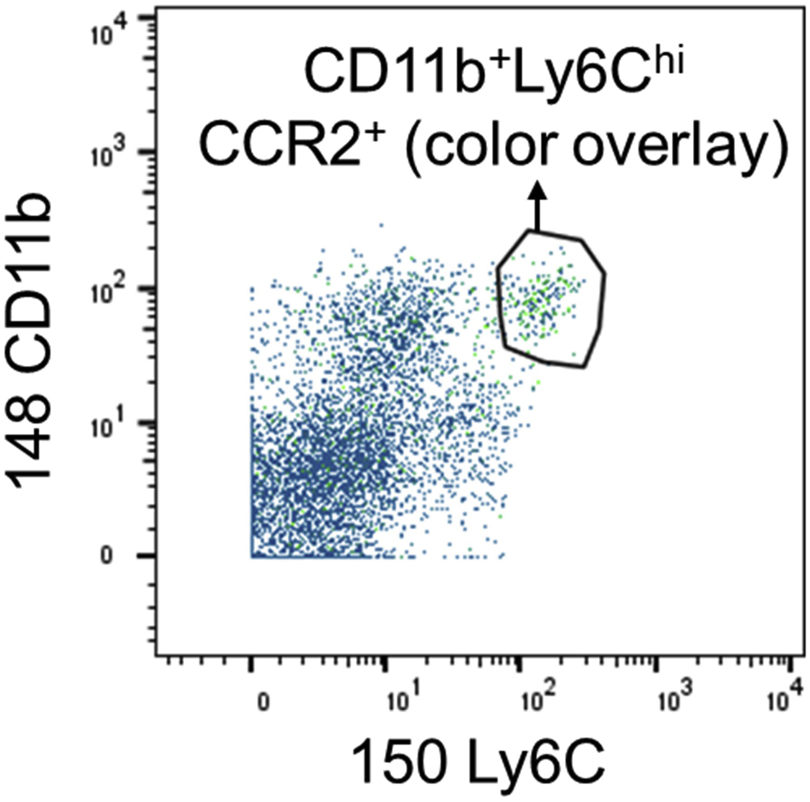Cell Press: STAR Protocols