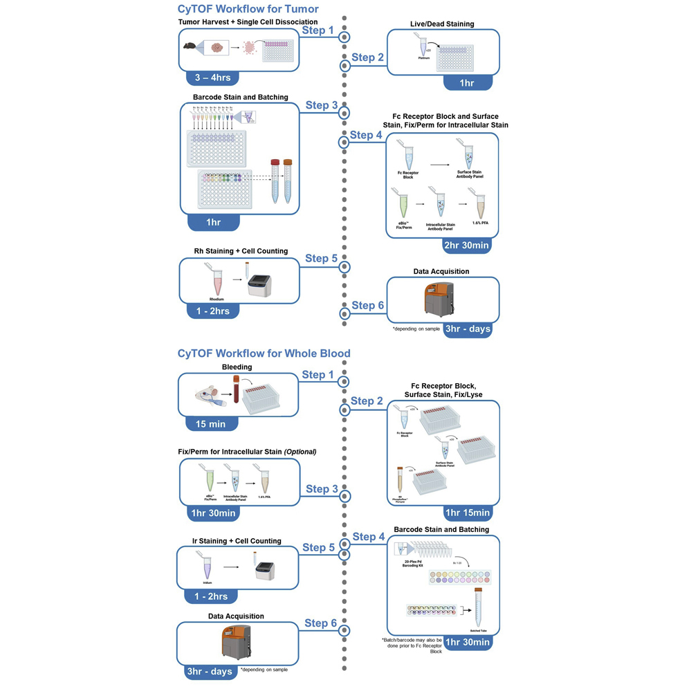 Cell Press: STAR Protocols