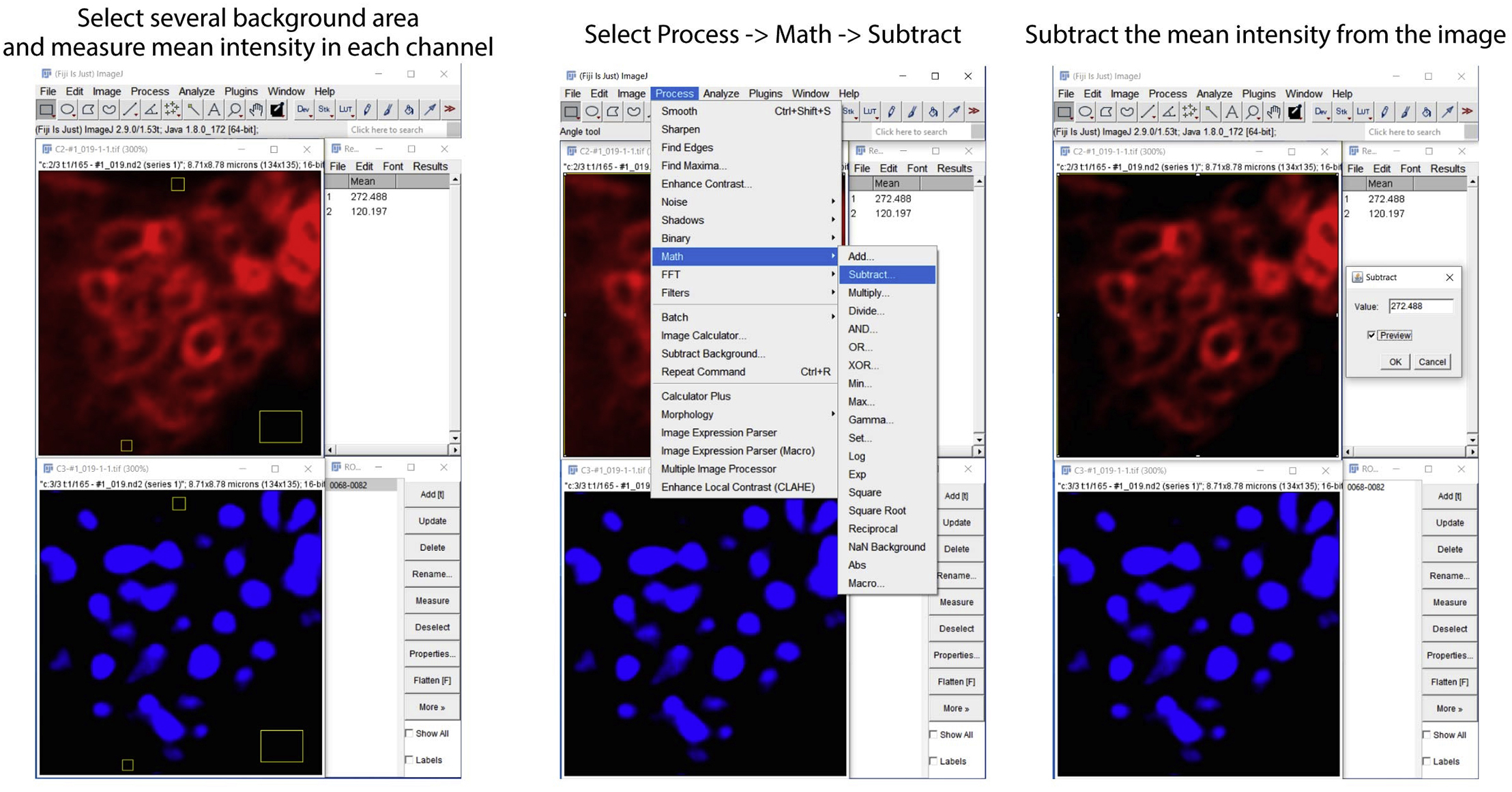 Cell Press: STAR Protocols