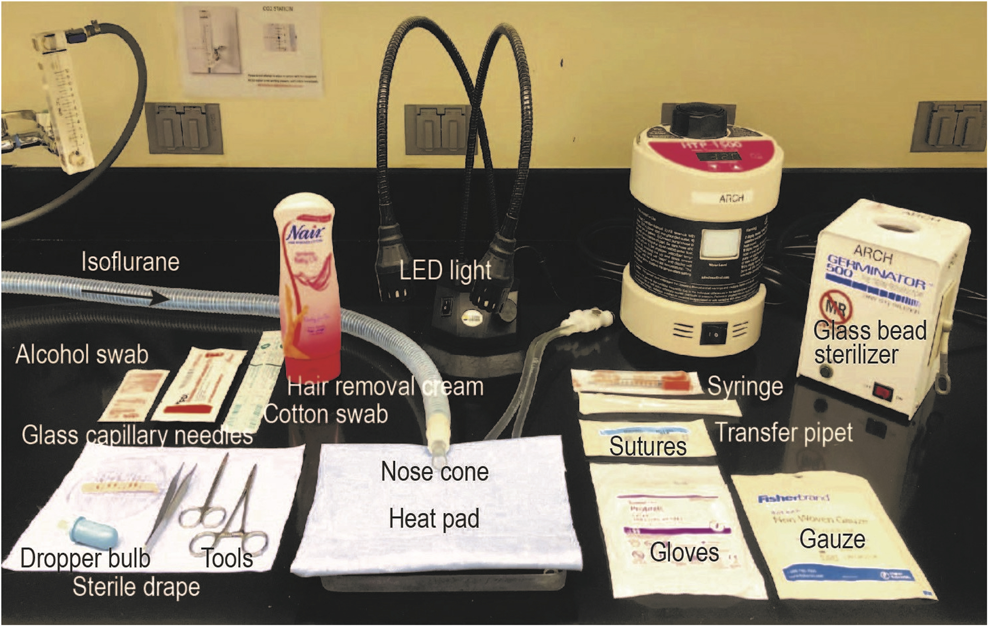 Cell Press: STAR Protocols