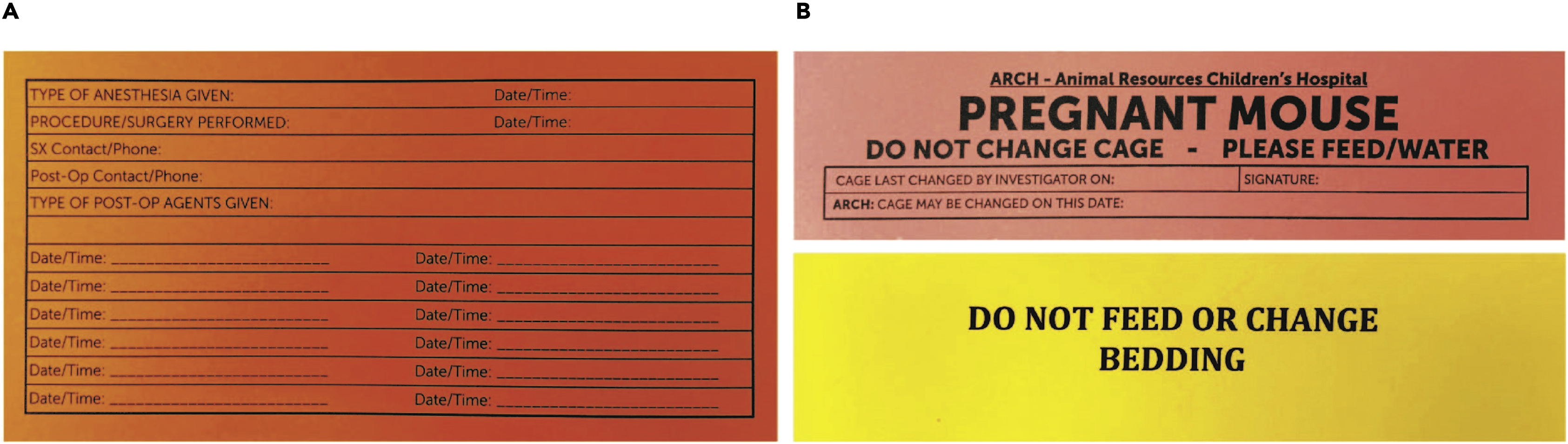 Cell Press: STAR Protocols