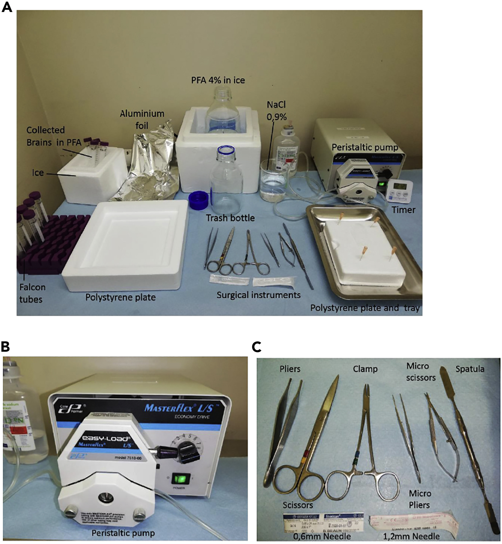 Cell Press: STAR Protocols