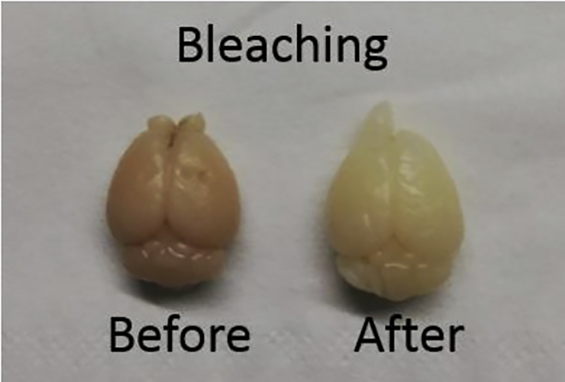 Cell Press: STAR Protocols