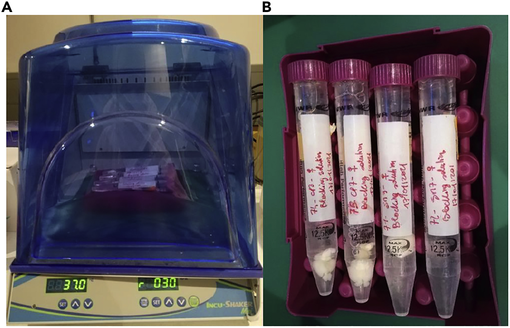 Cell Press: STAR Protocols