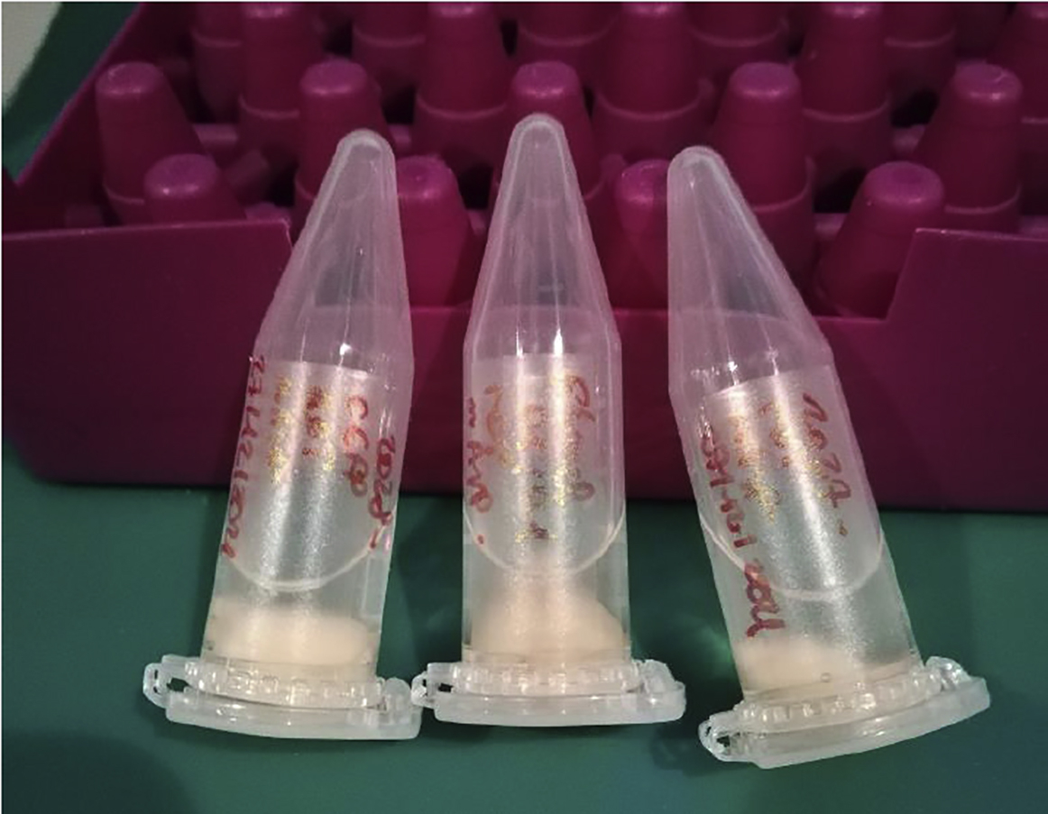 Cell Press: STAR Protocols