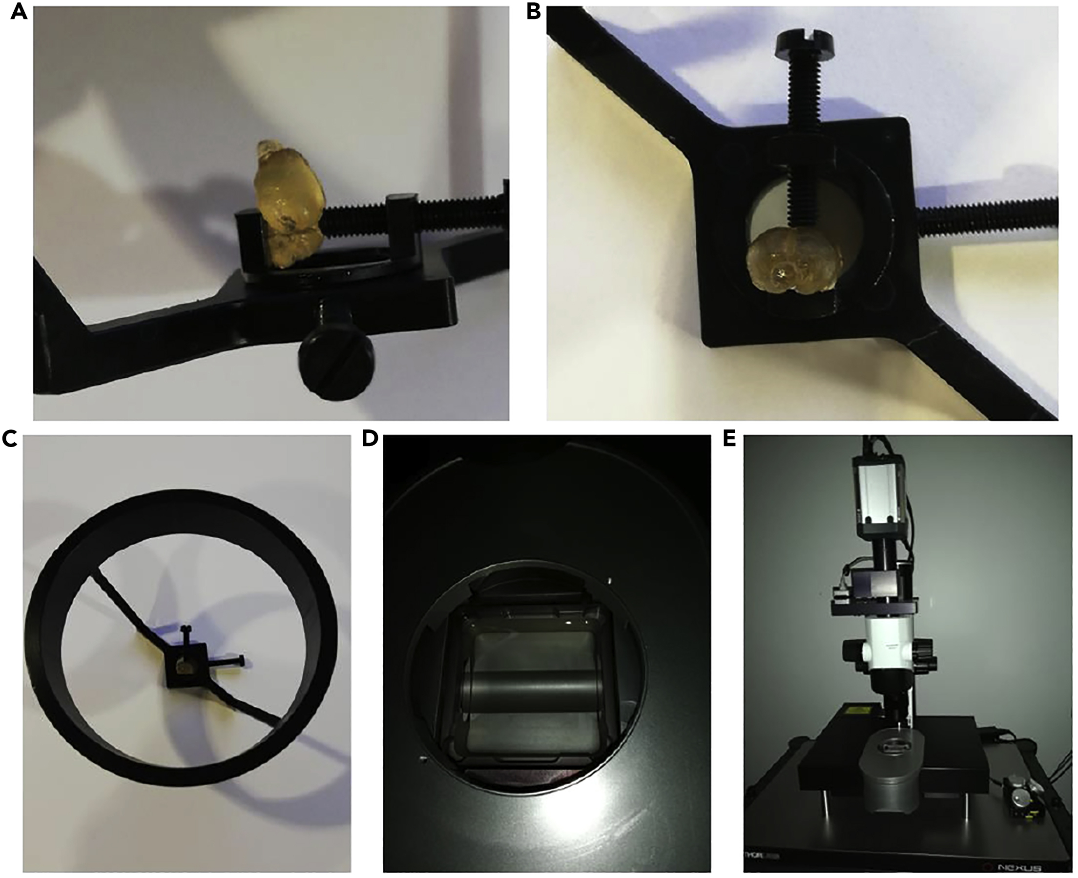 Cell Press: STAR Protocols
