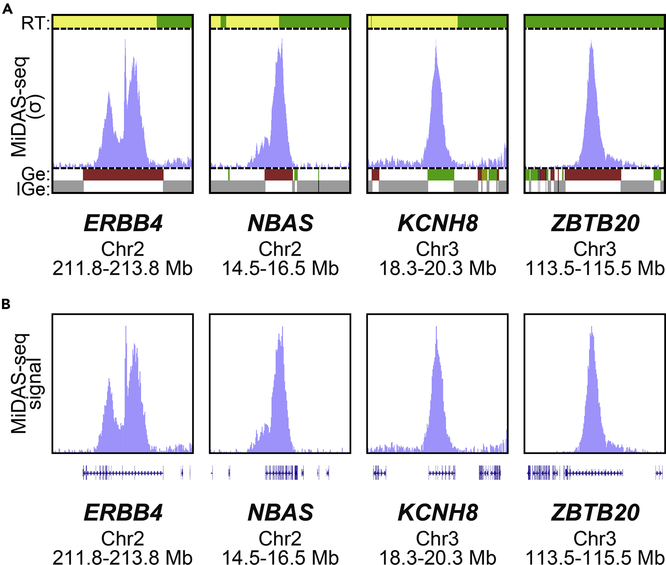 Cell Press: STAR Protocols