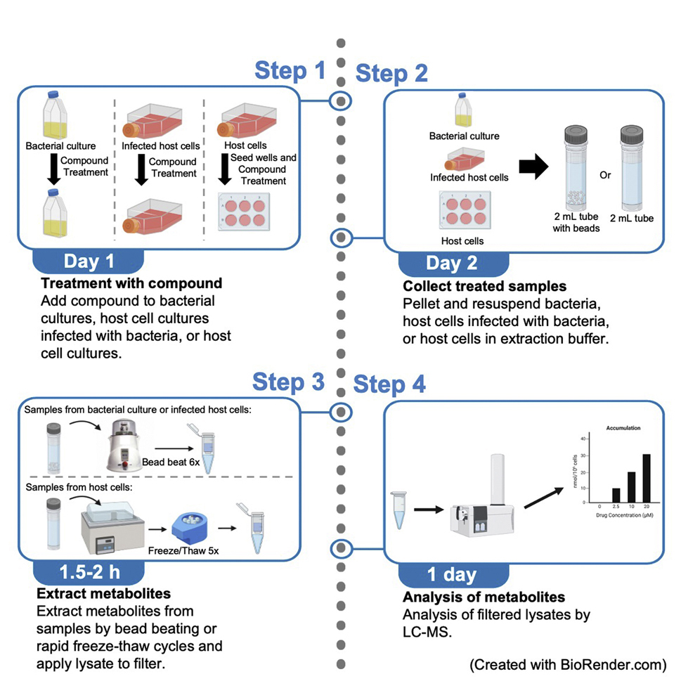 Cell Press: STAR Protocols