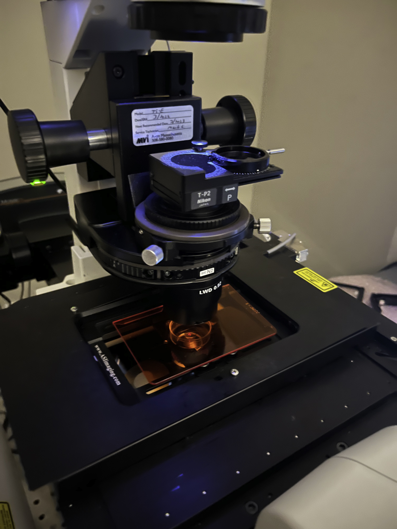 Cell Press: STAR Protocols