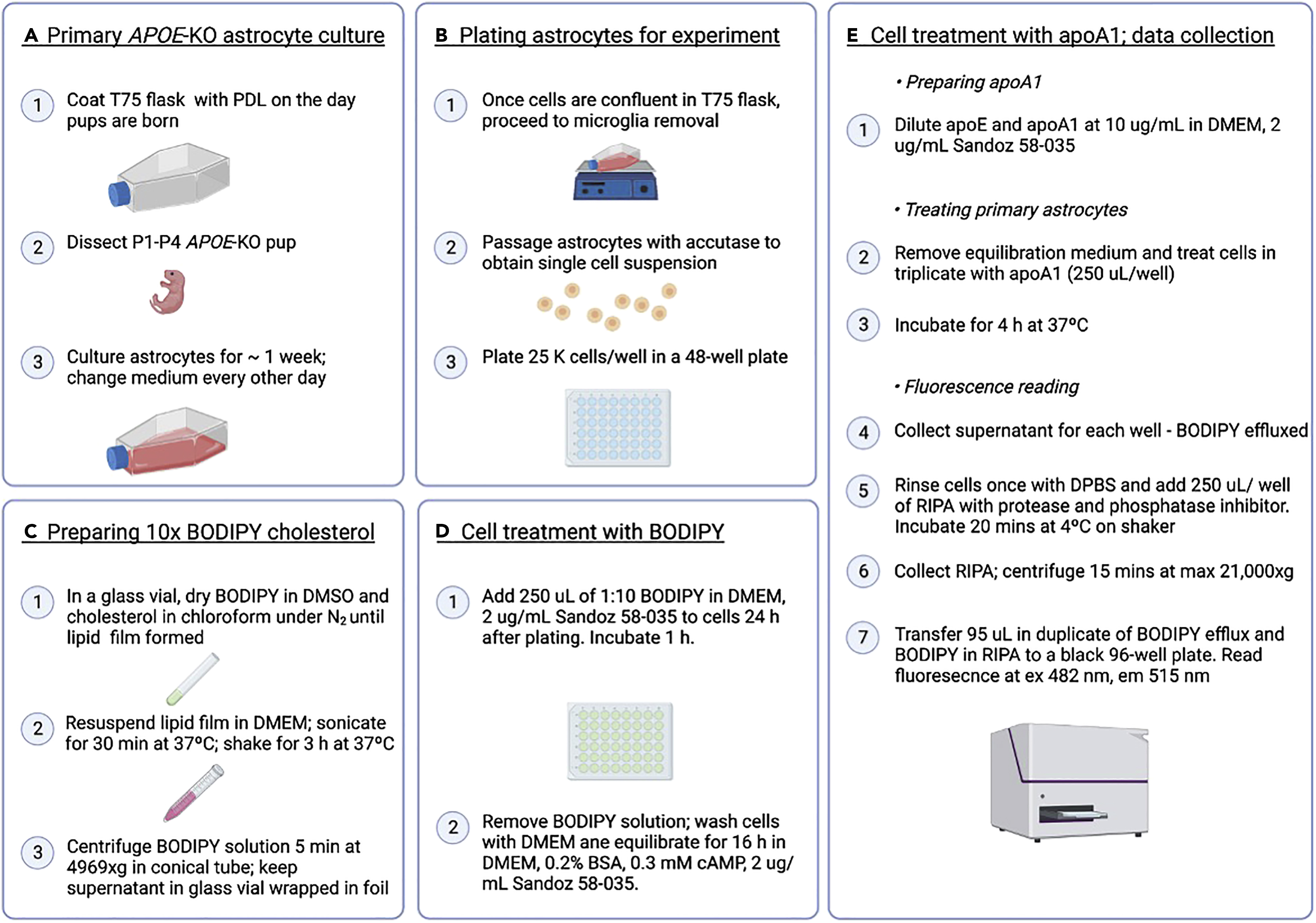 Cell Press: STAR Protocols